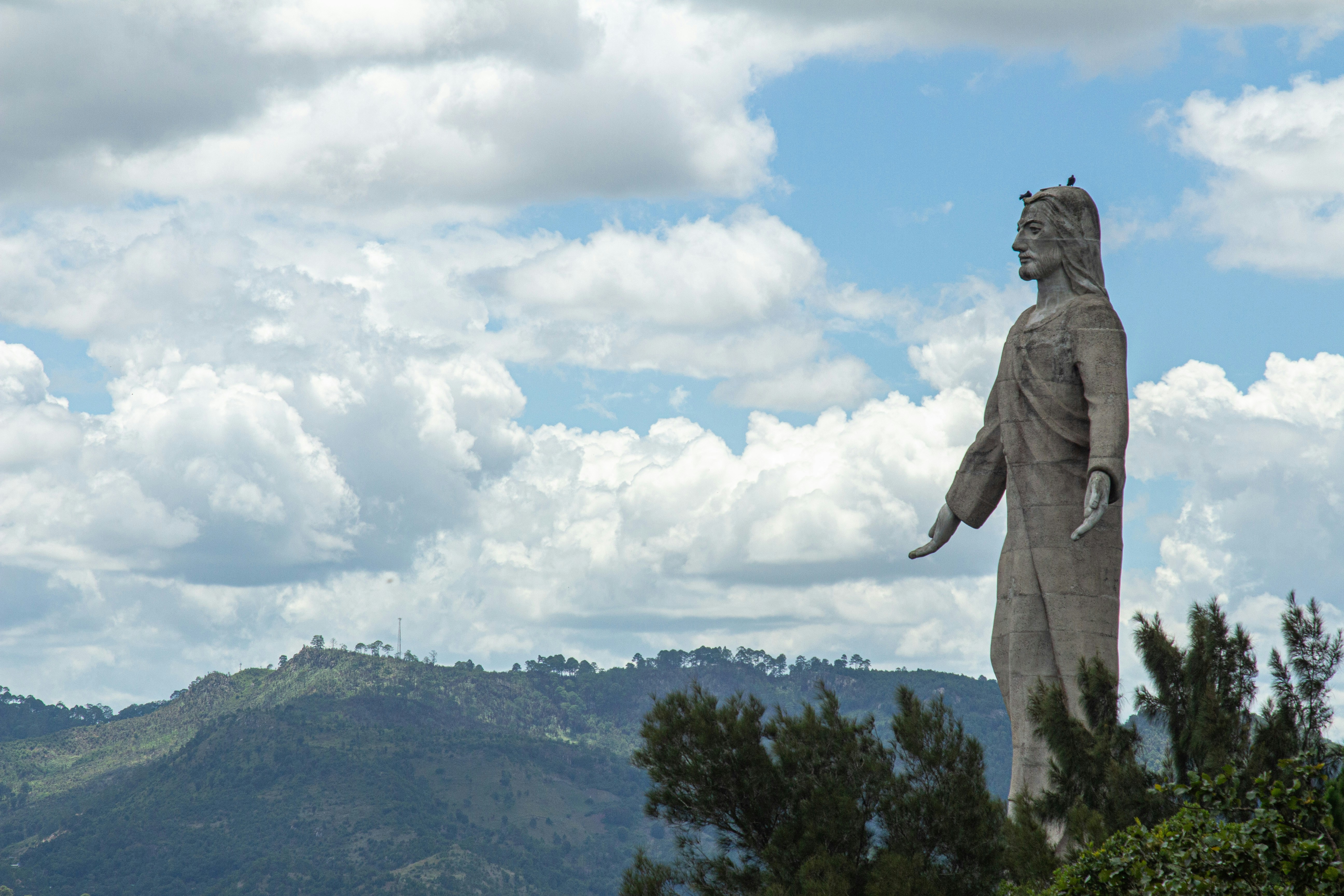 Stone Guardian Overlooking Verdant Valley