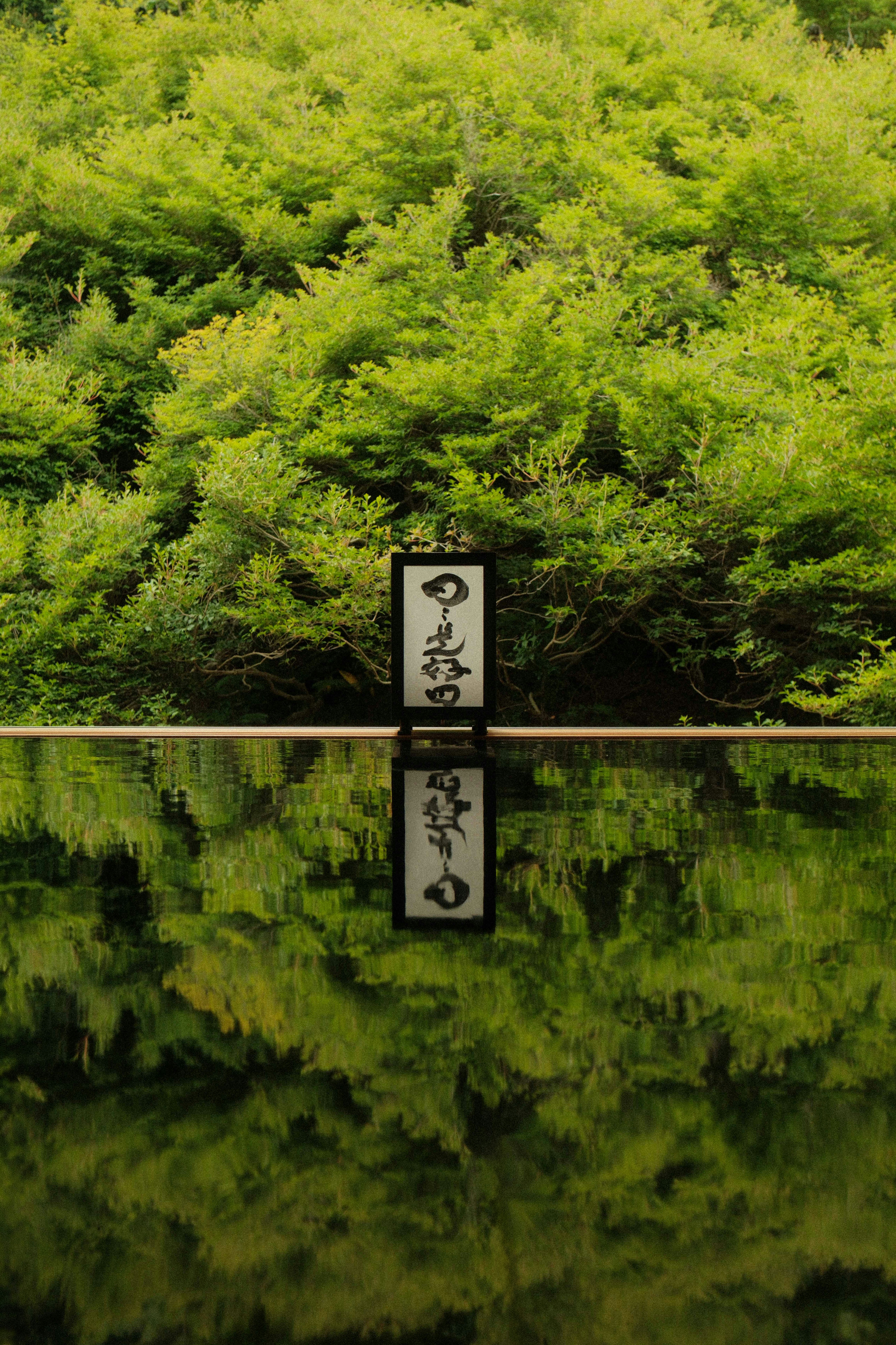Silent Reflection in a Forest Teahouse Garden