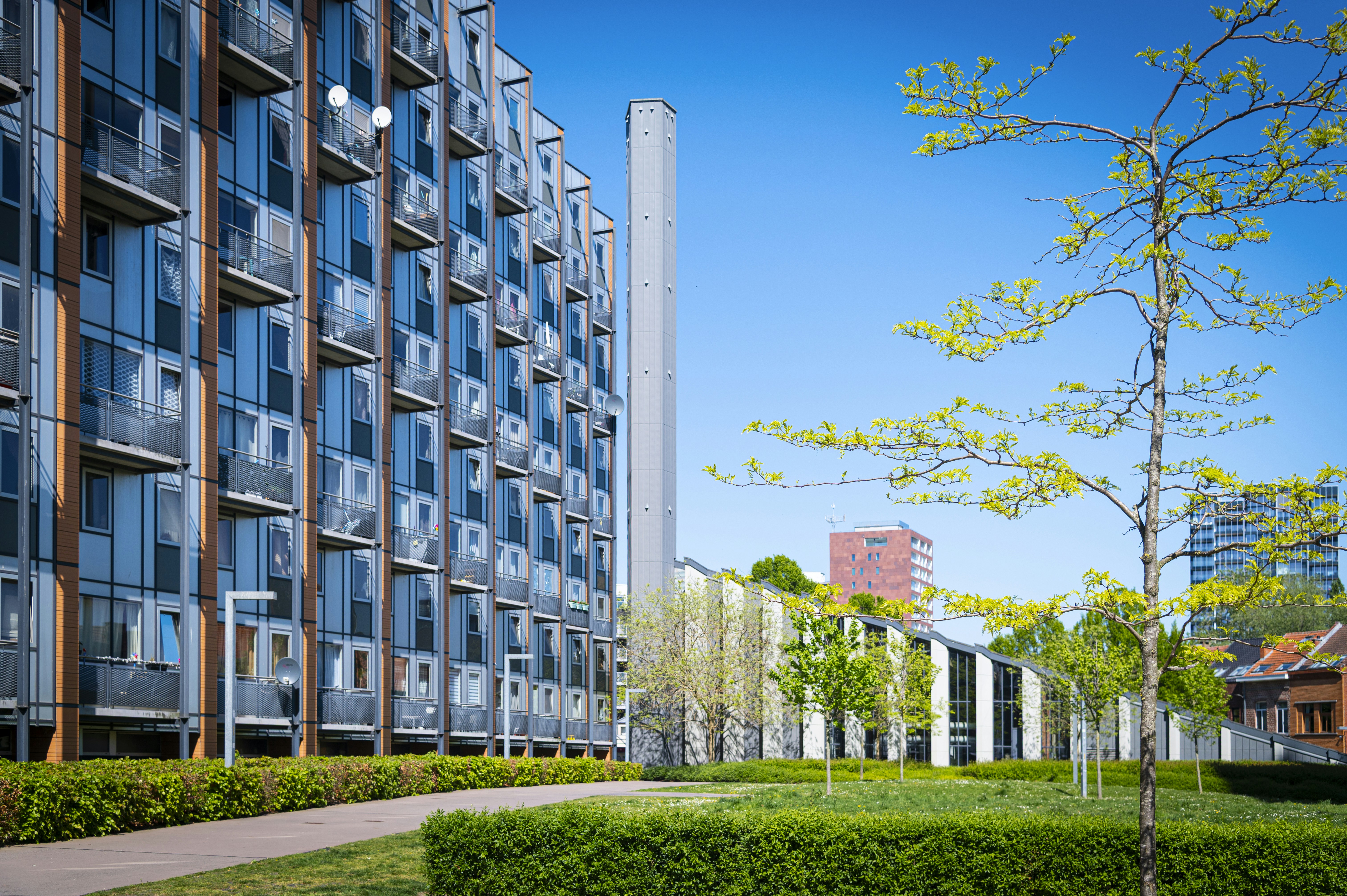 Modern Courtyard Vista: Glass Facades, Greenery, and Blue Sky