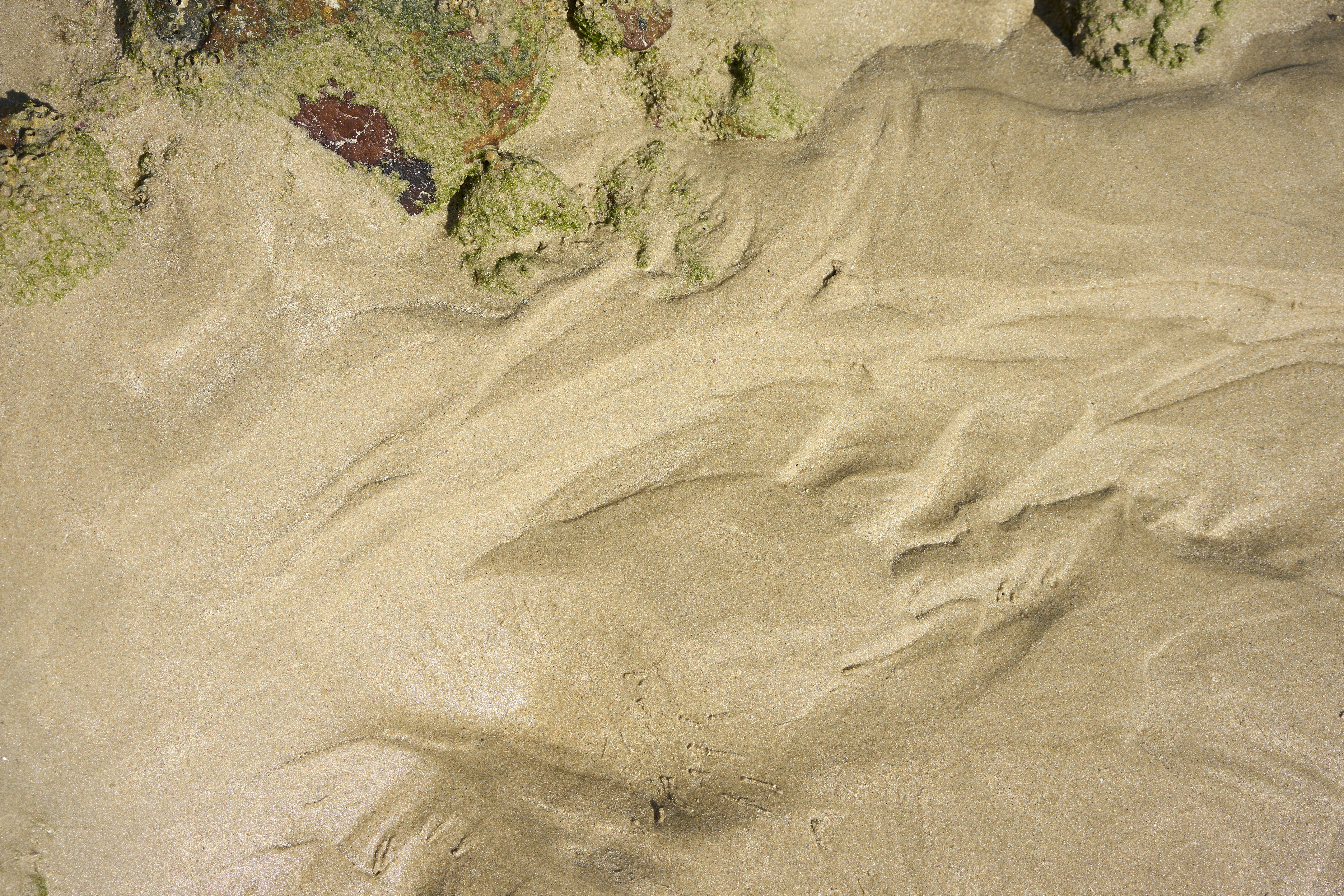 Rippled Desert Canvas: Traces of Tides on Sand