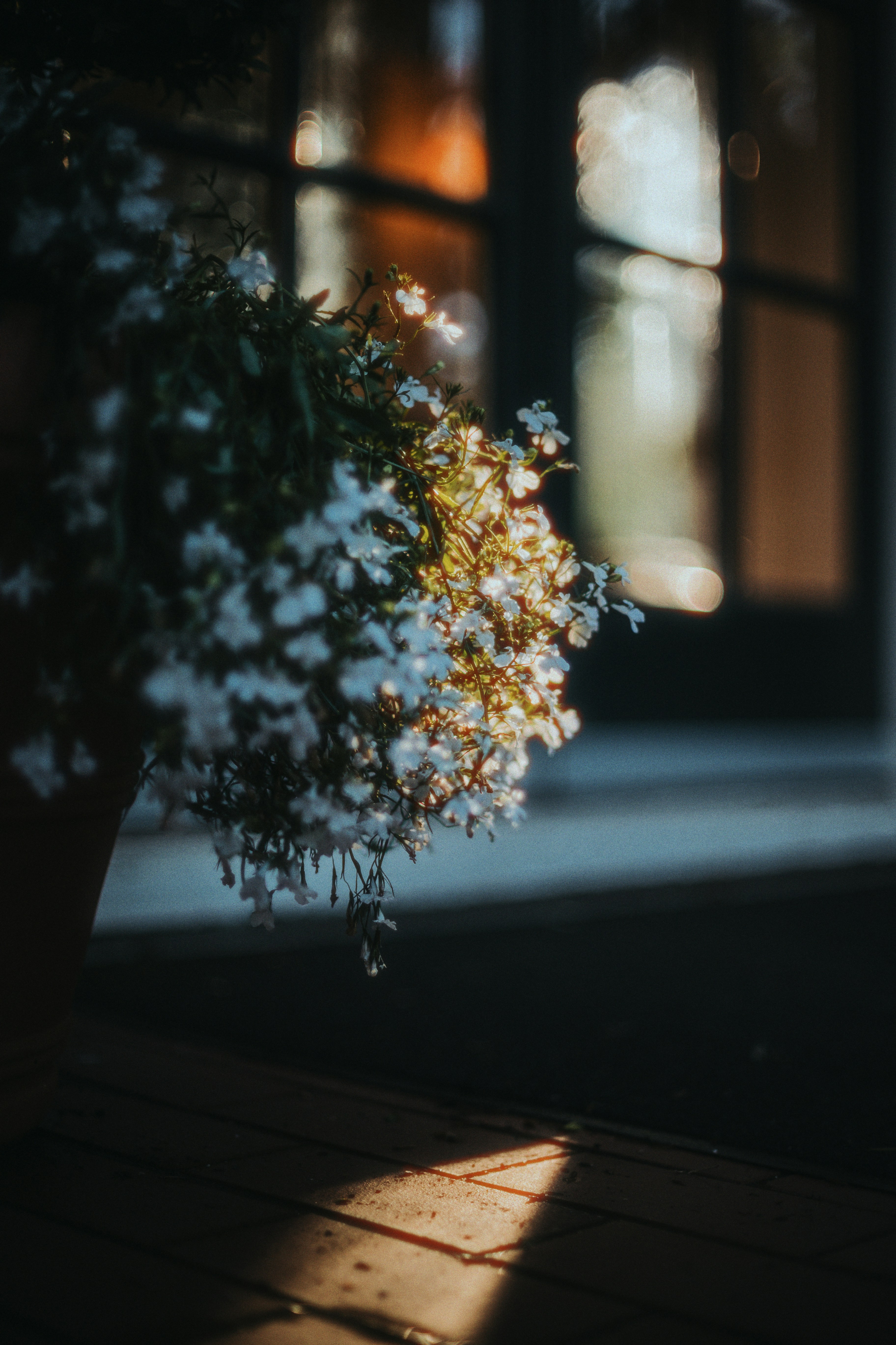 Sunlit Whites Gather on a Moonlit Porch