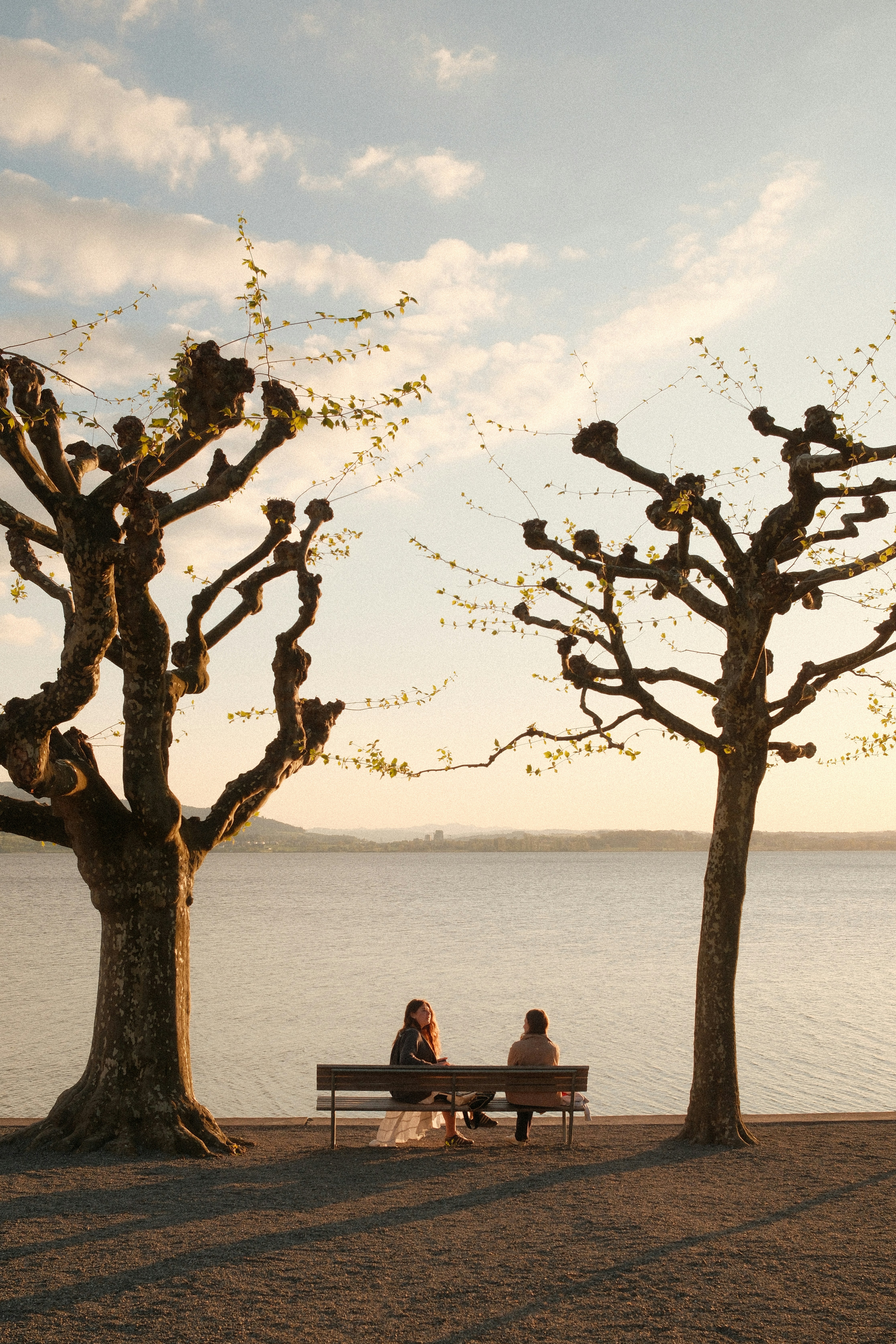 Quiet Embrace by the Lake: A Couple on a Sunset Bench