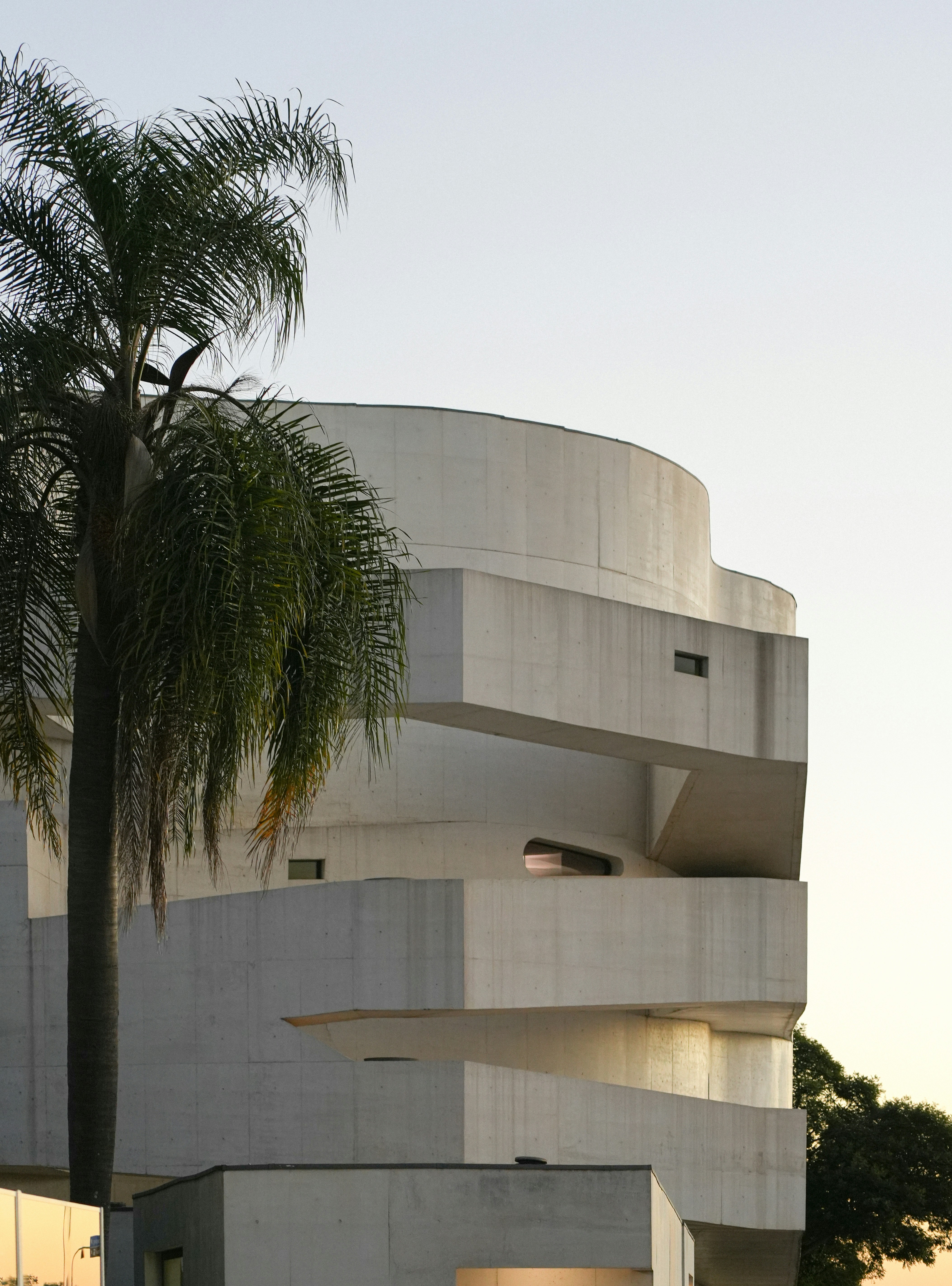 Curved Concrete: A Sunset Portrait of Geometry and Palm