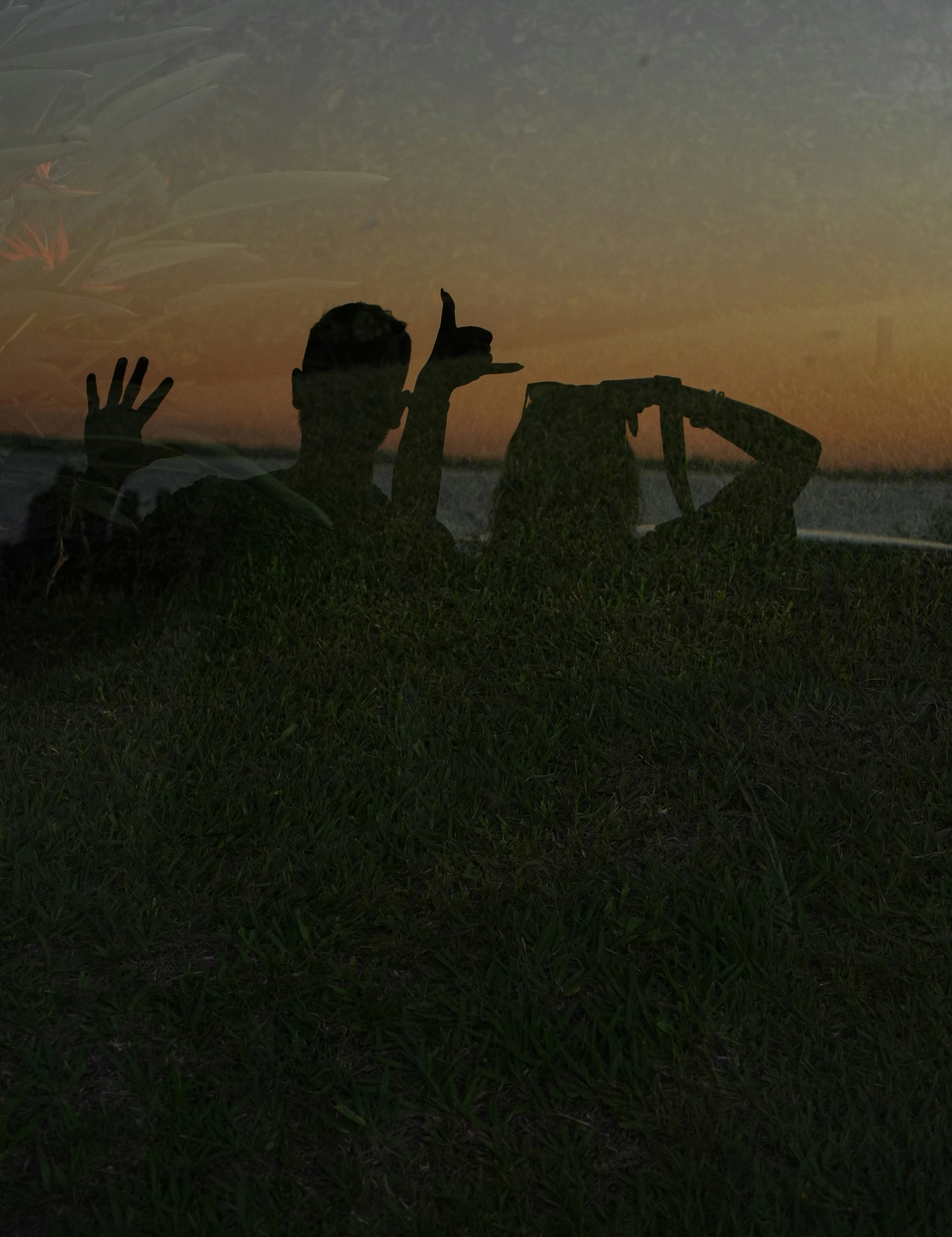 Silhouetted Sunset with Shared Memories