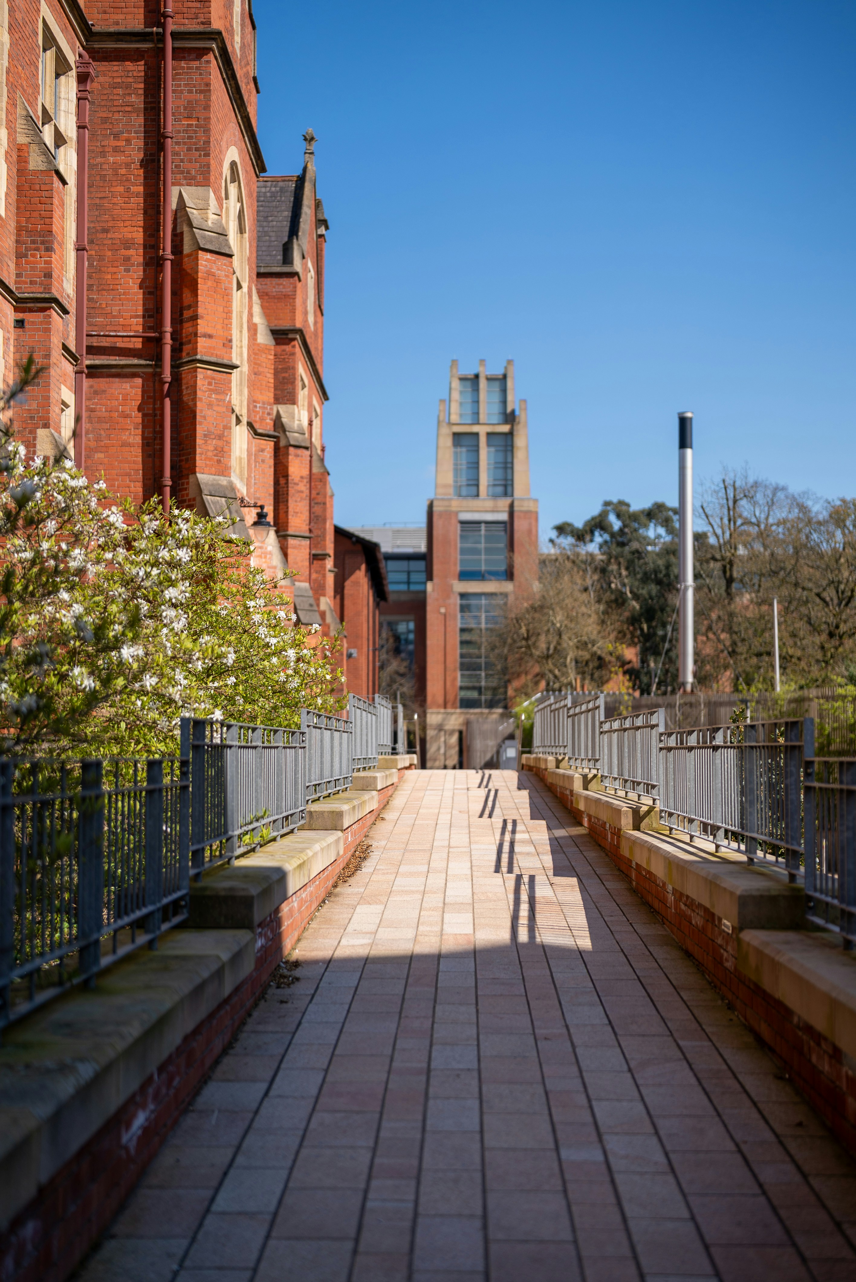 Brick Gothic Architecture Framing a Quiet Riverside Walk