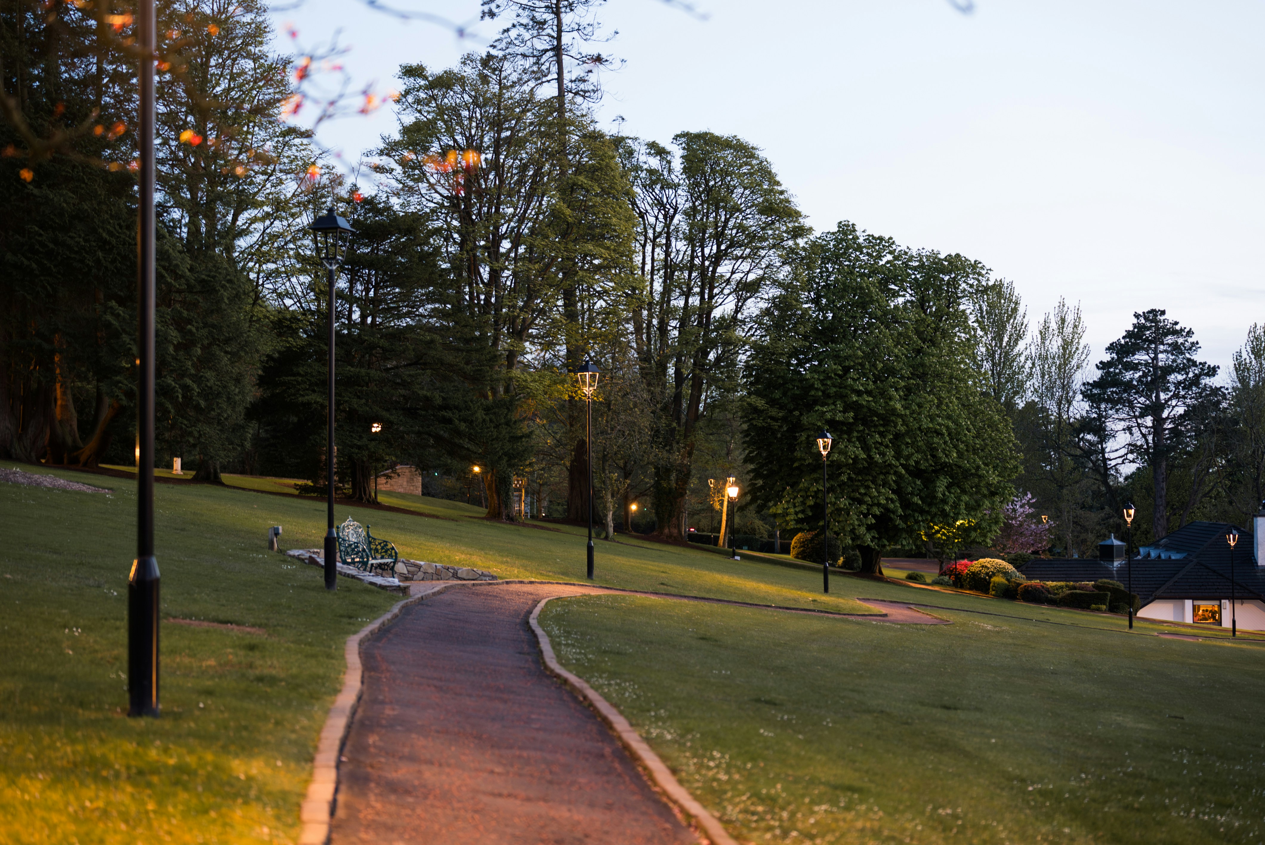 Evening Pathway Through a Quiet Park