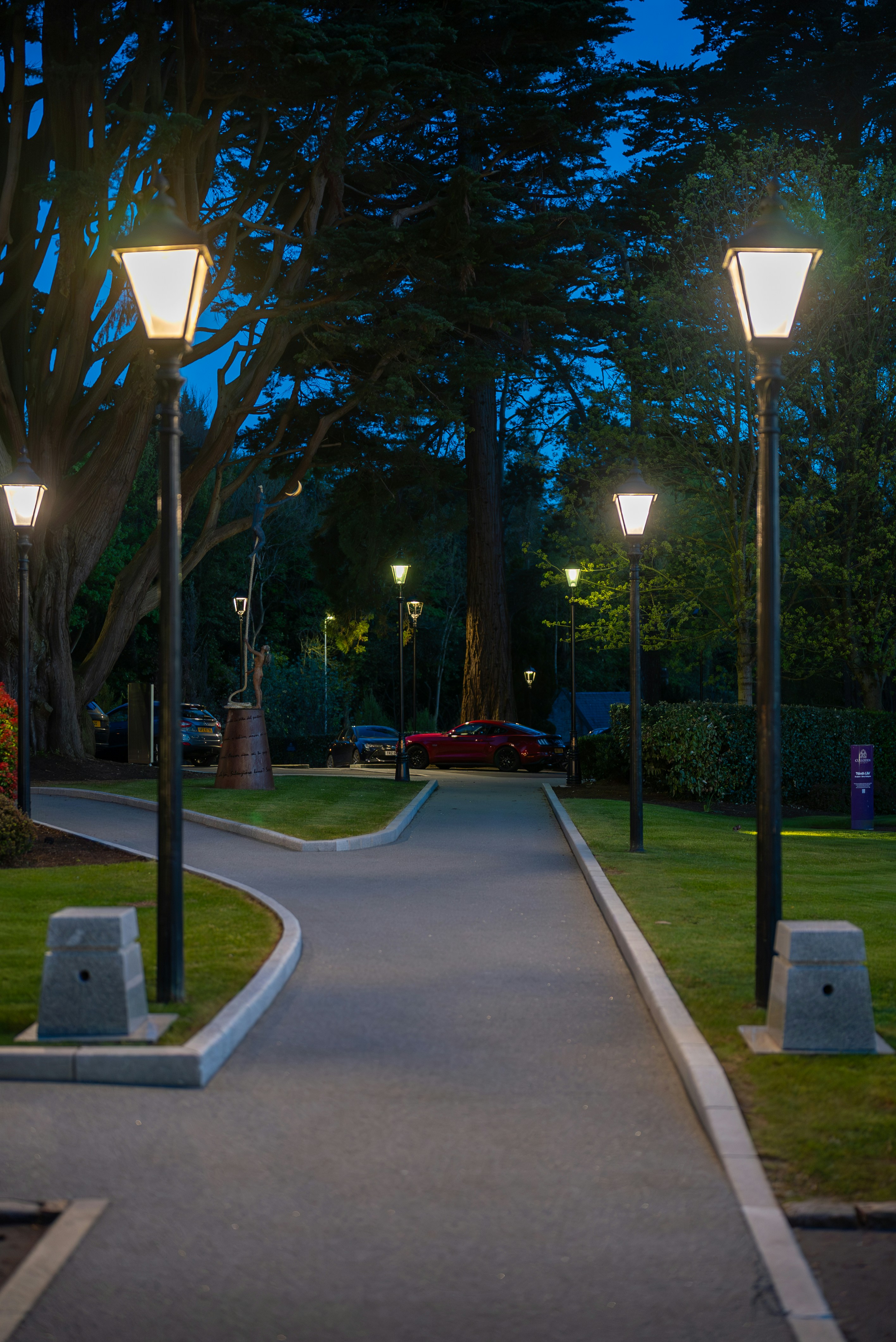 Evening Avenue: Lanterns Guiding a Quiet Walk