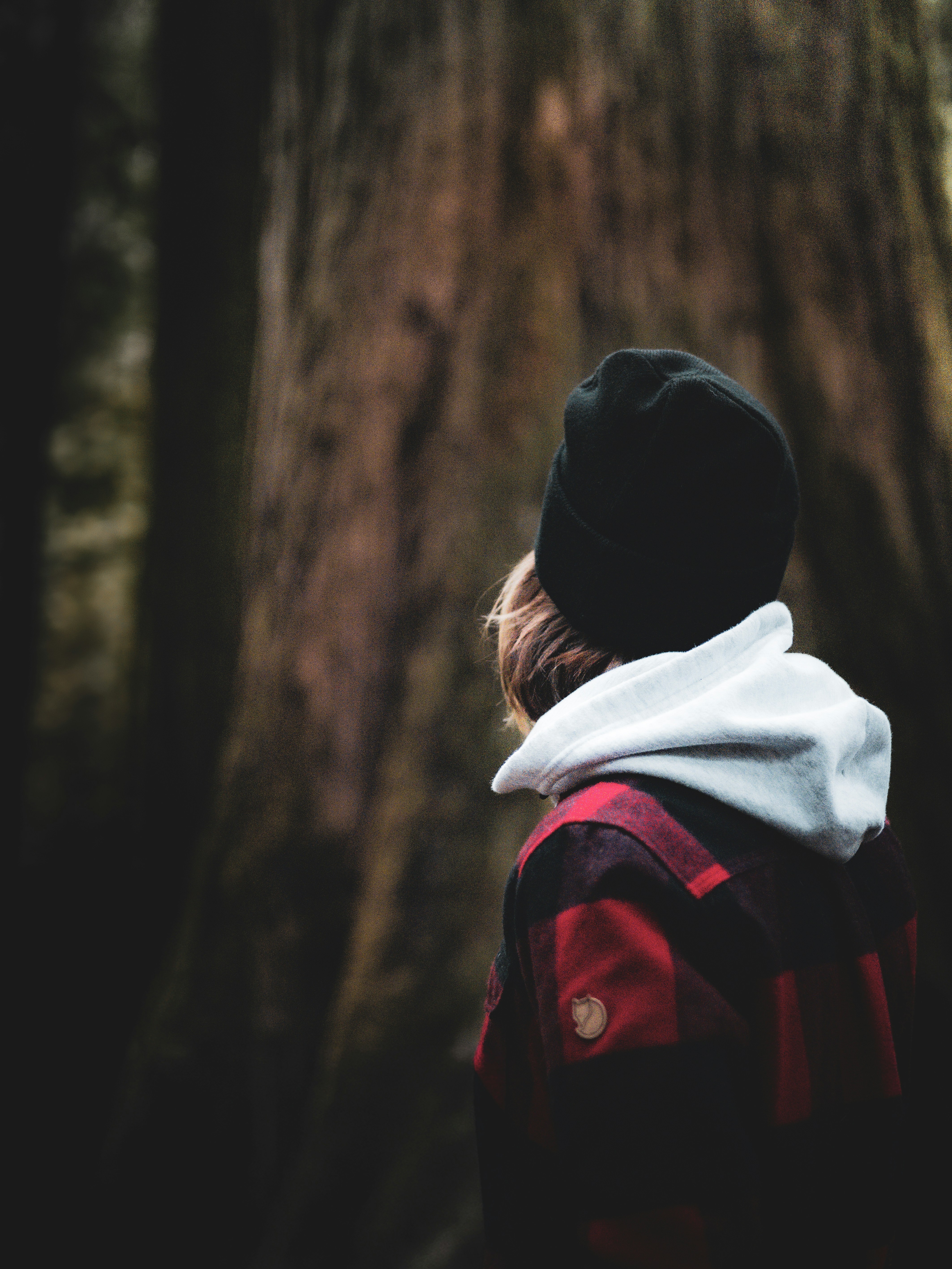 Forest Whisper: A Back View in Plaid and Midnight