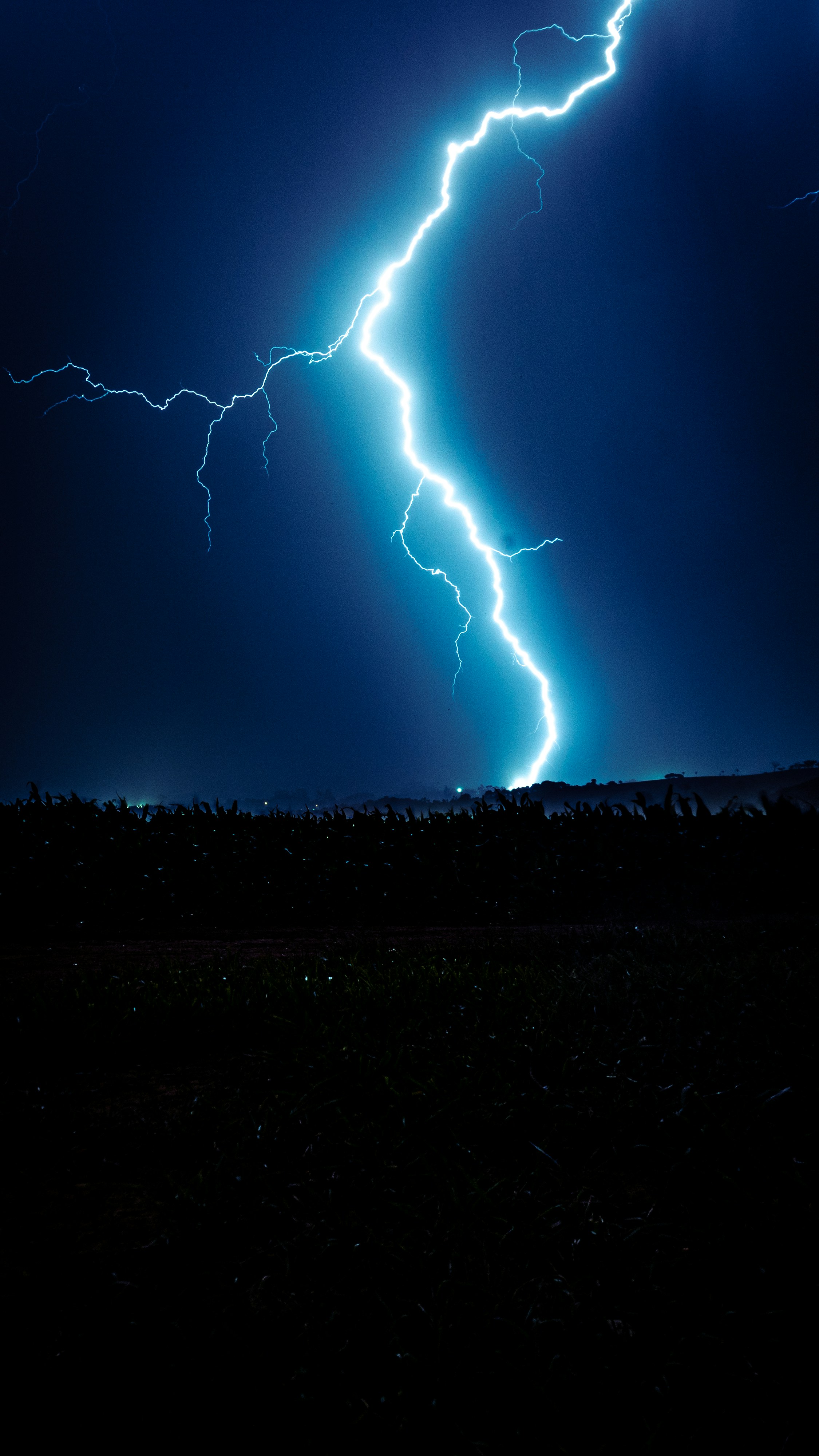 Lightning Crown over a Field: a night sky split by a jagged bolt