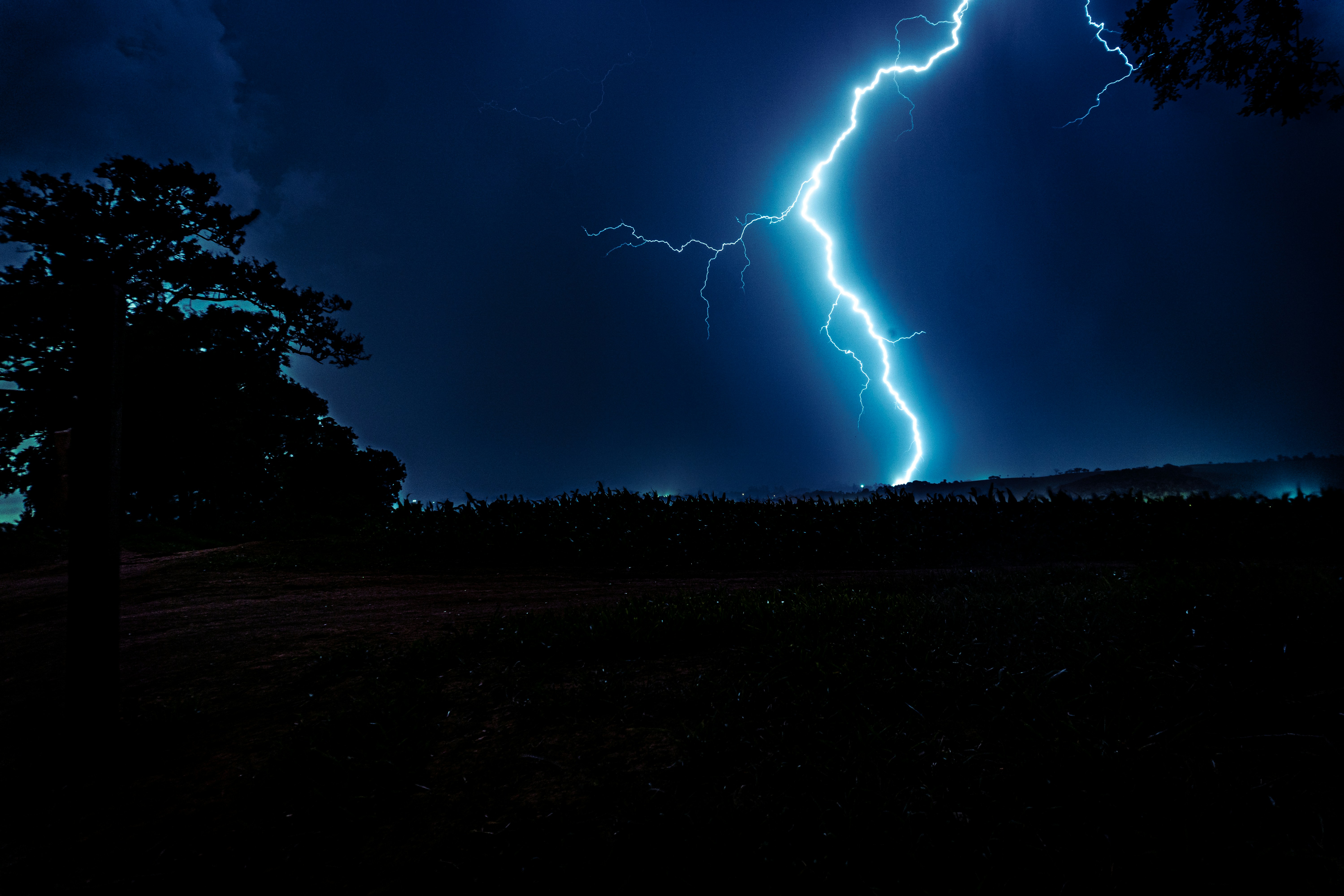 Lightning Crown Over a Quiet Field