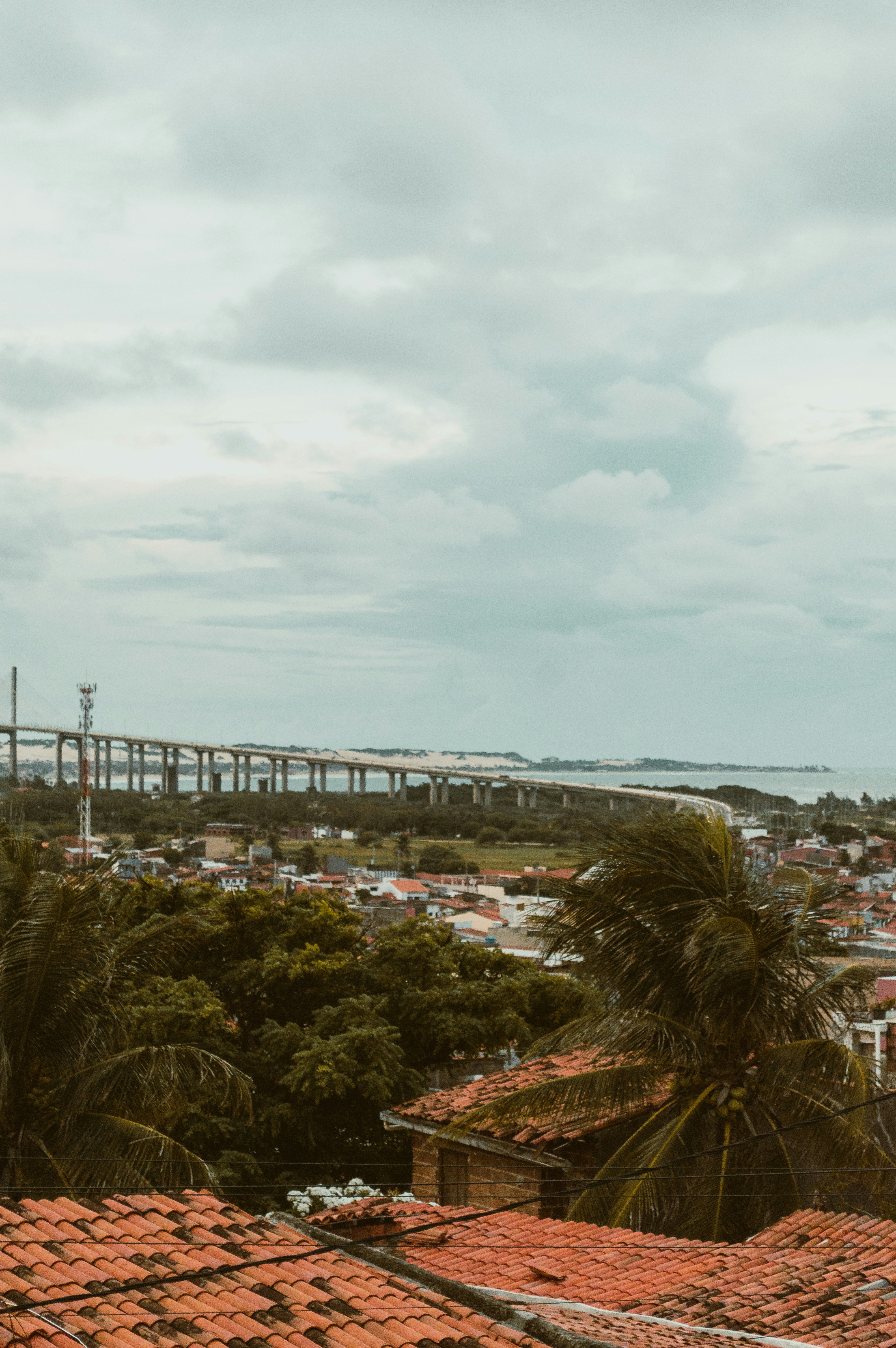Rooftop Sunrise Over a Coastal Town with Distant Bridge