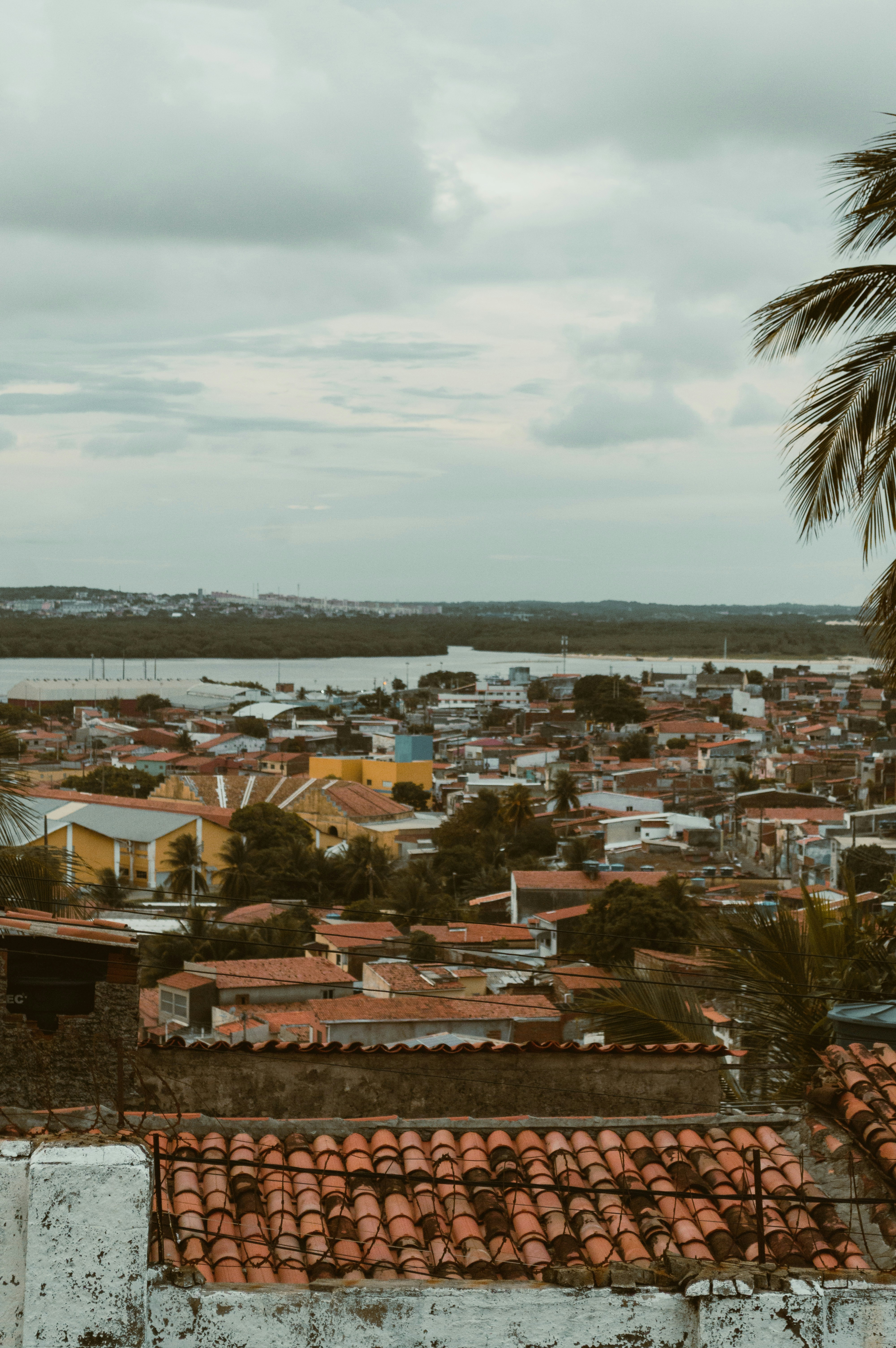 Rooftop Mosaic: A Coastal Town Sees Fortune in Terracotta Tiles