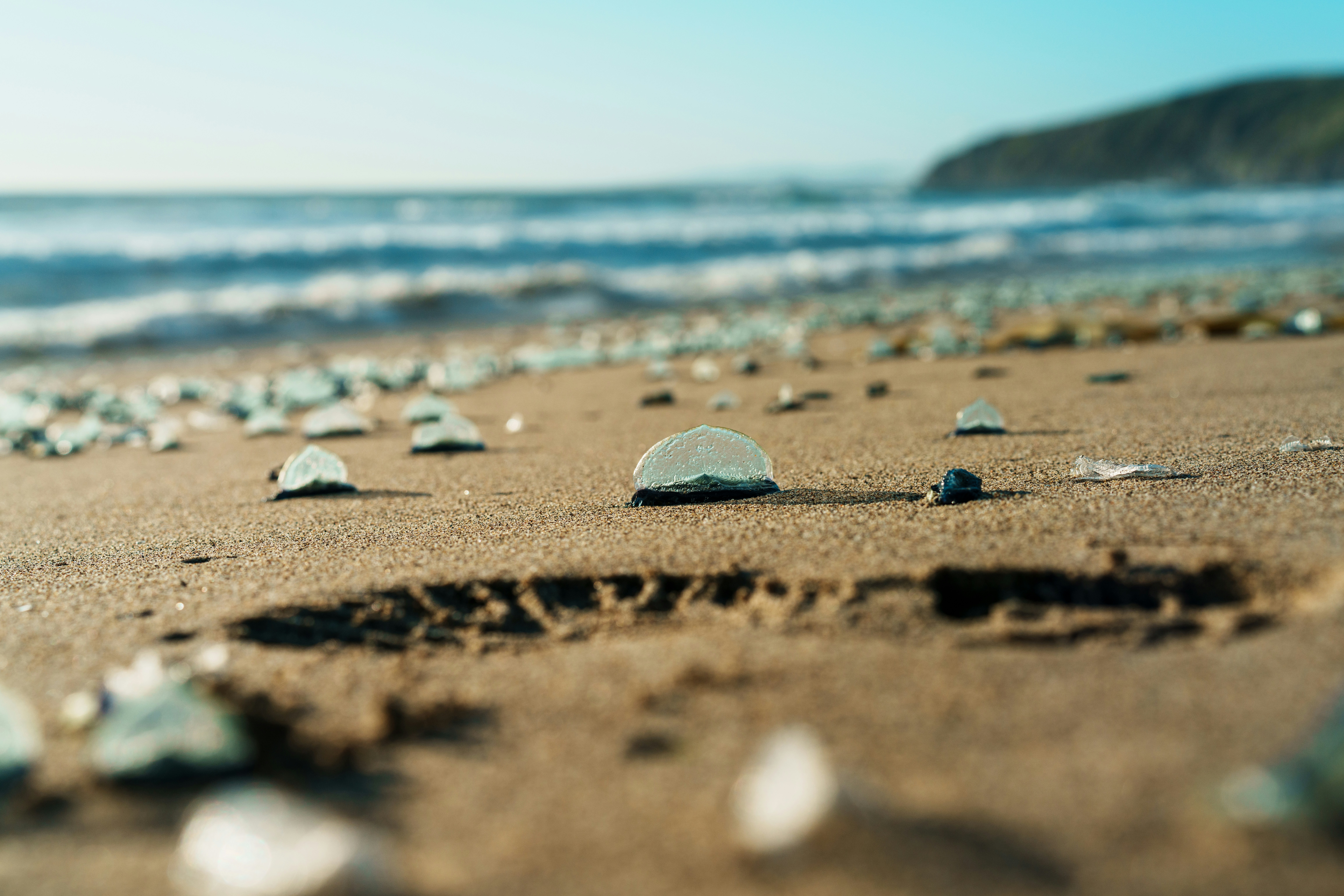 Pebble Parade at the Tapered Shore