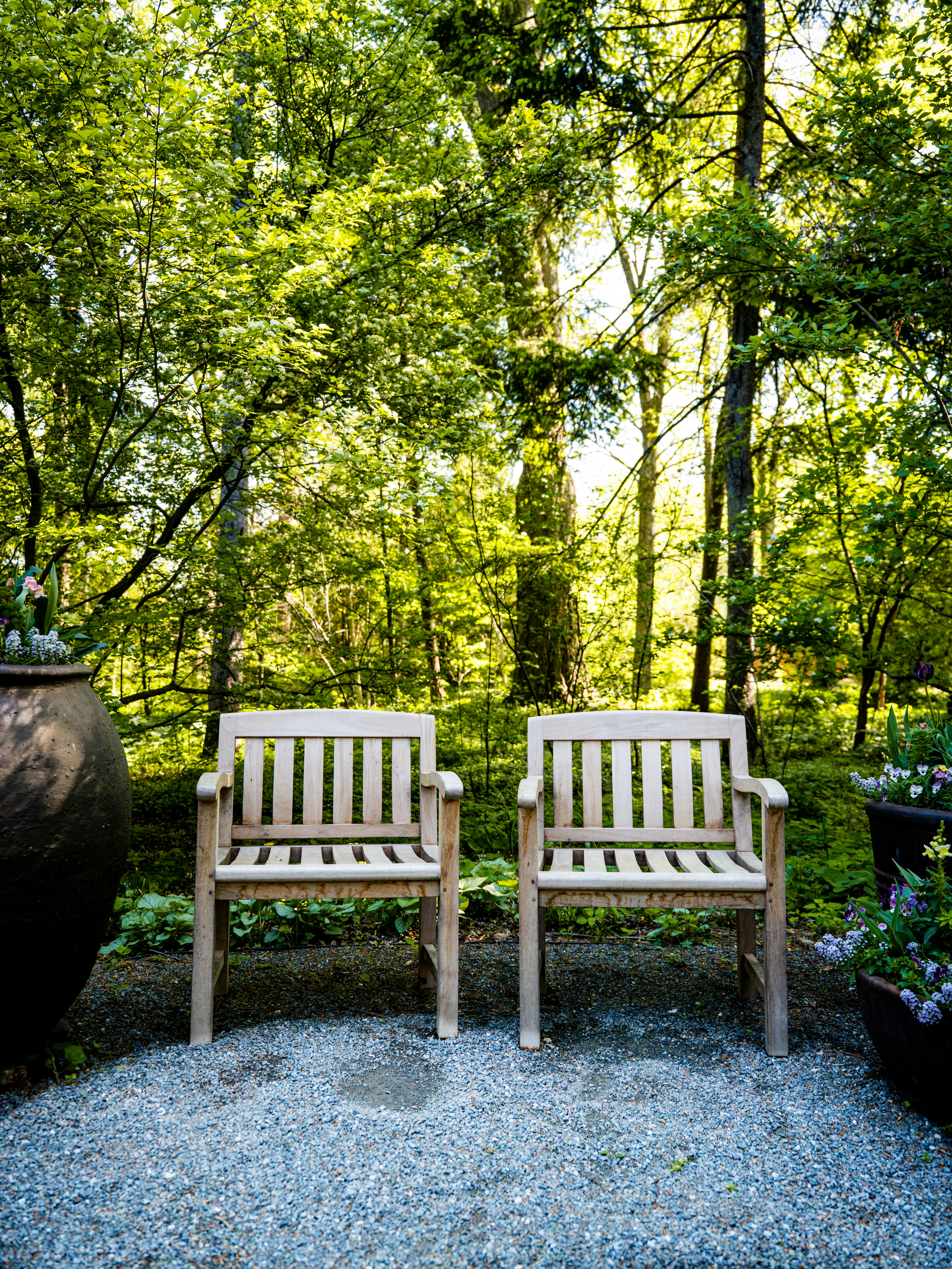 Two Wooden Chairs Unite: Quiet Garden Seating Beneath Sunlit Canopy