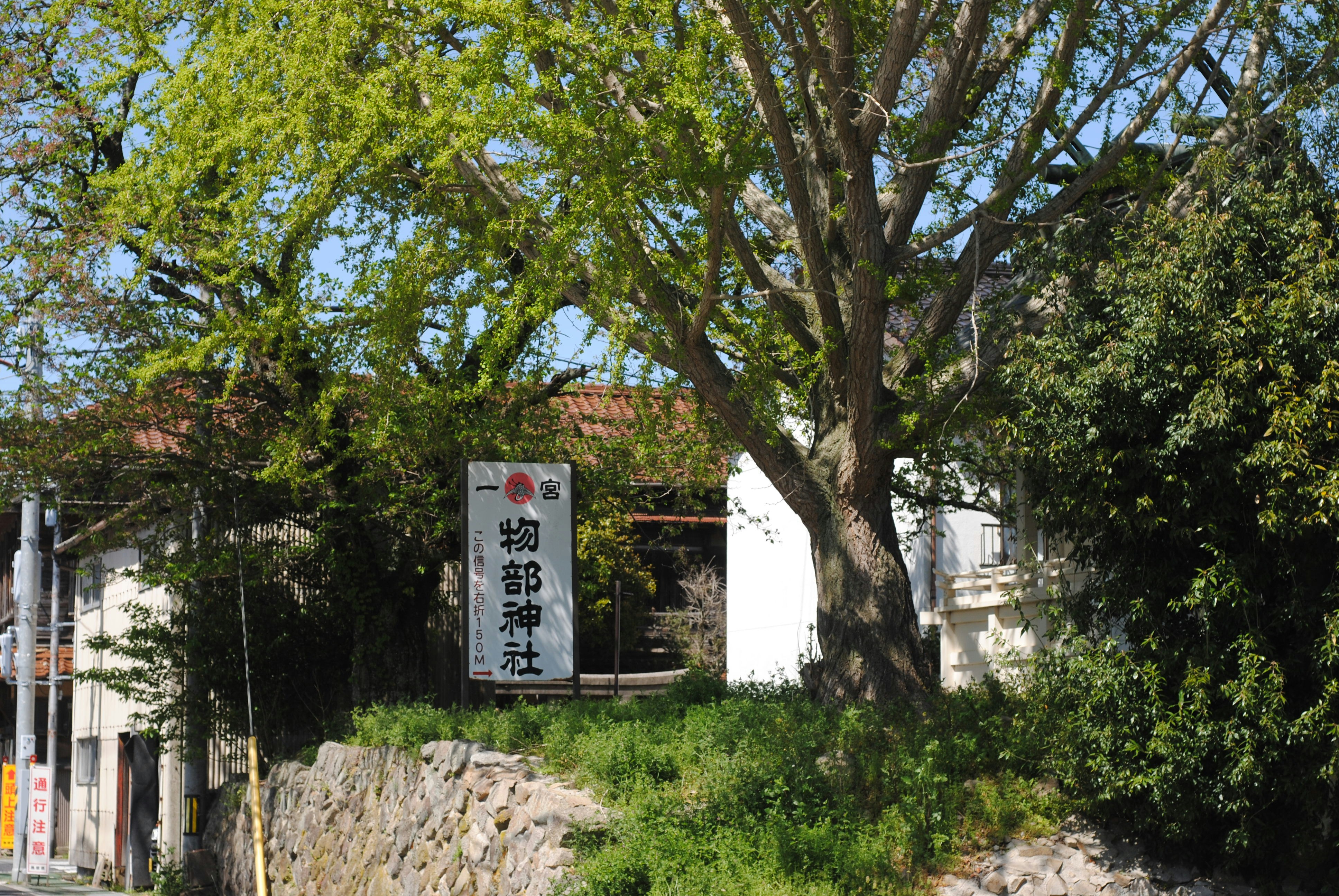 Signpost Under the Shade of a Large Tree by a Stone Terrace