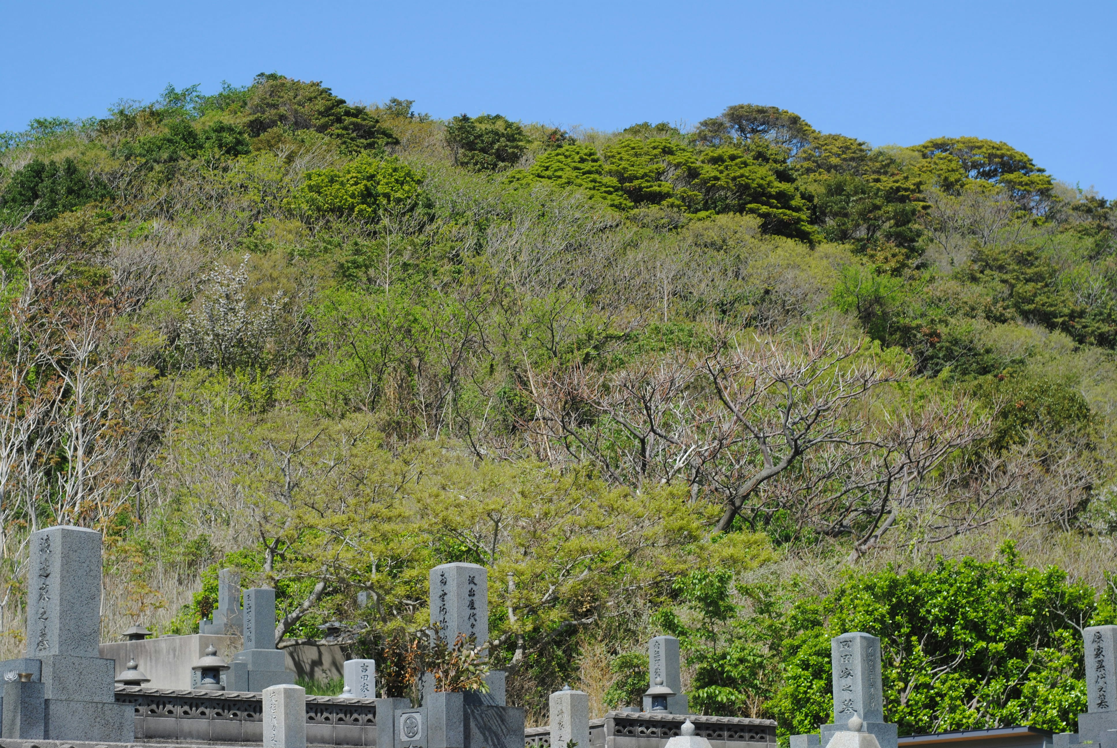 Silent Stones Beneath the Hill: A Cemeterial Cliffs