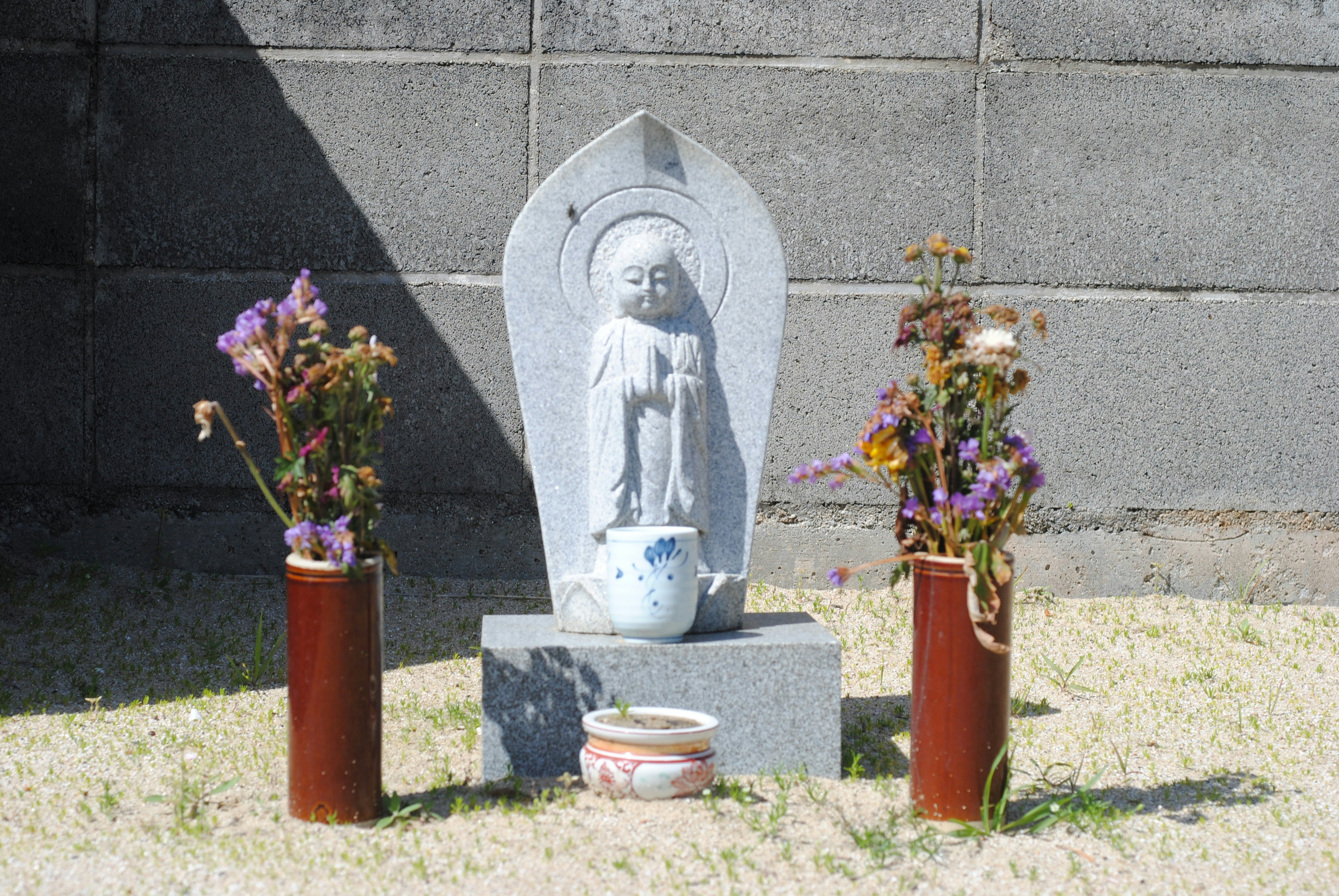Temple of Solitude: A Quiet Shrine Between Lavender Vessels