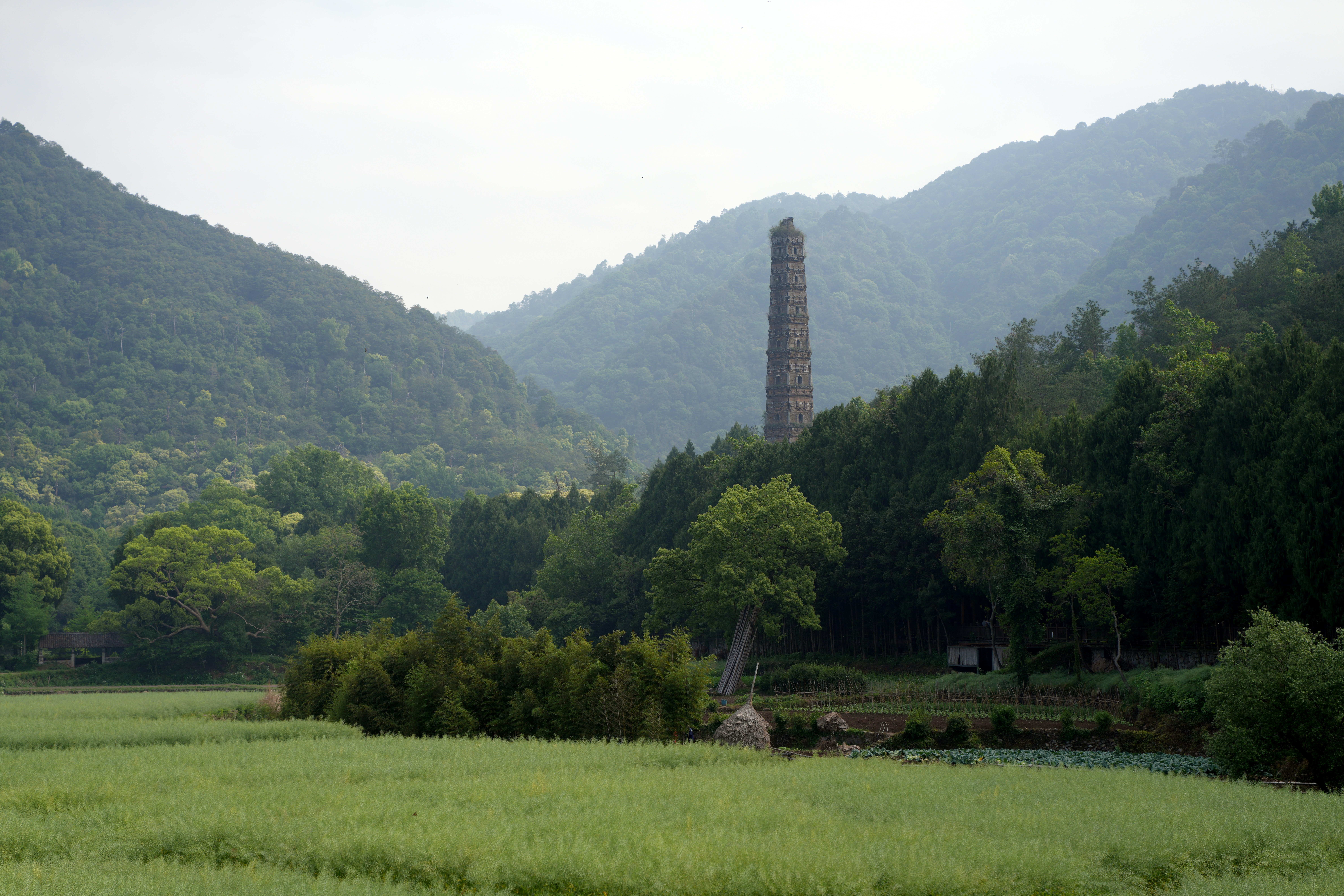 Stone Needle Above the Green Valley