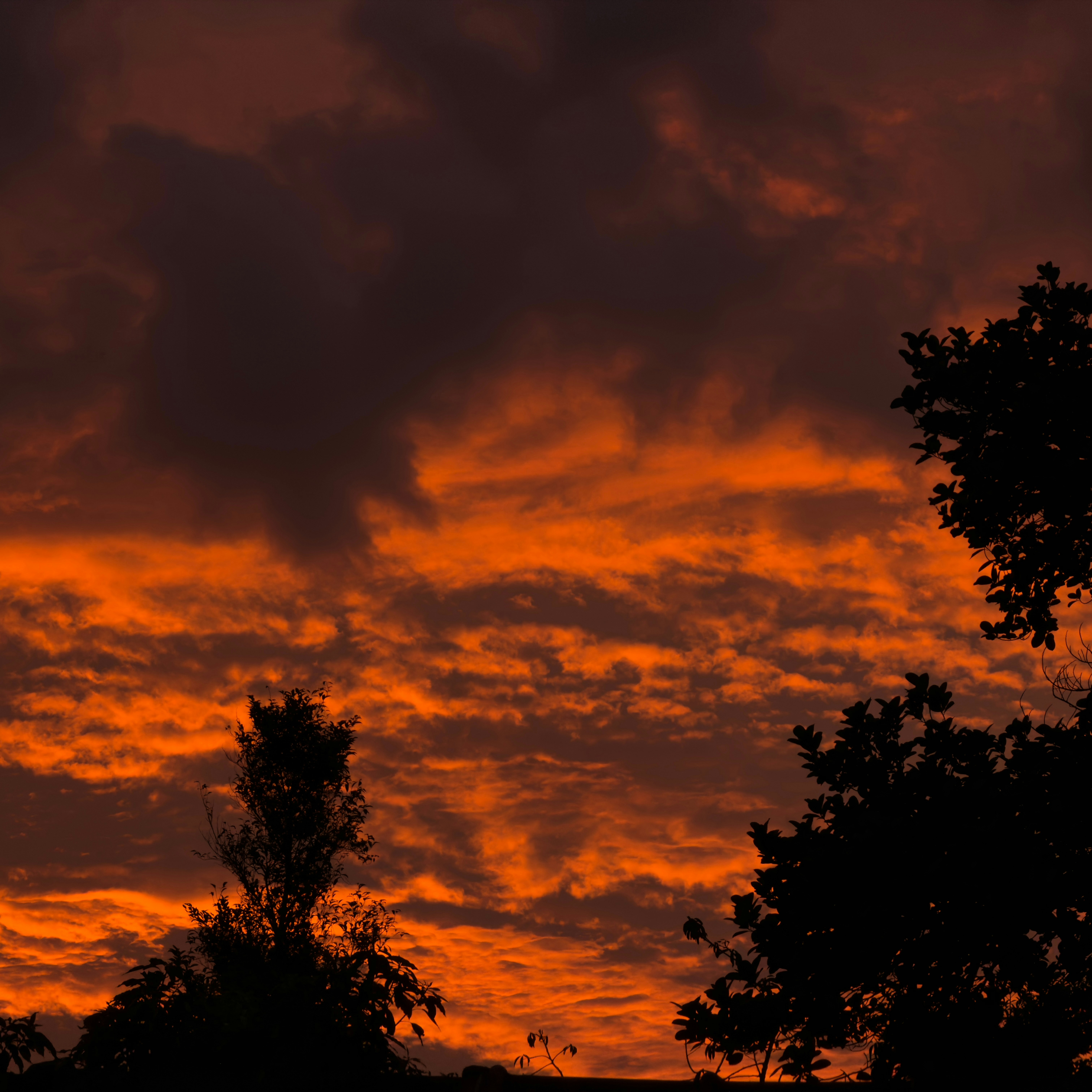 Fiery Horizon: Silhouettes Against a Velvet Sunset