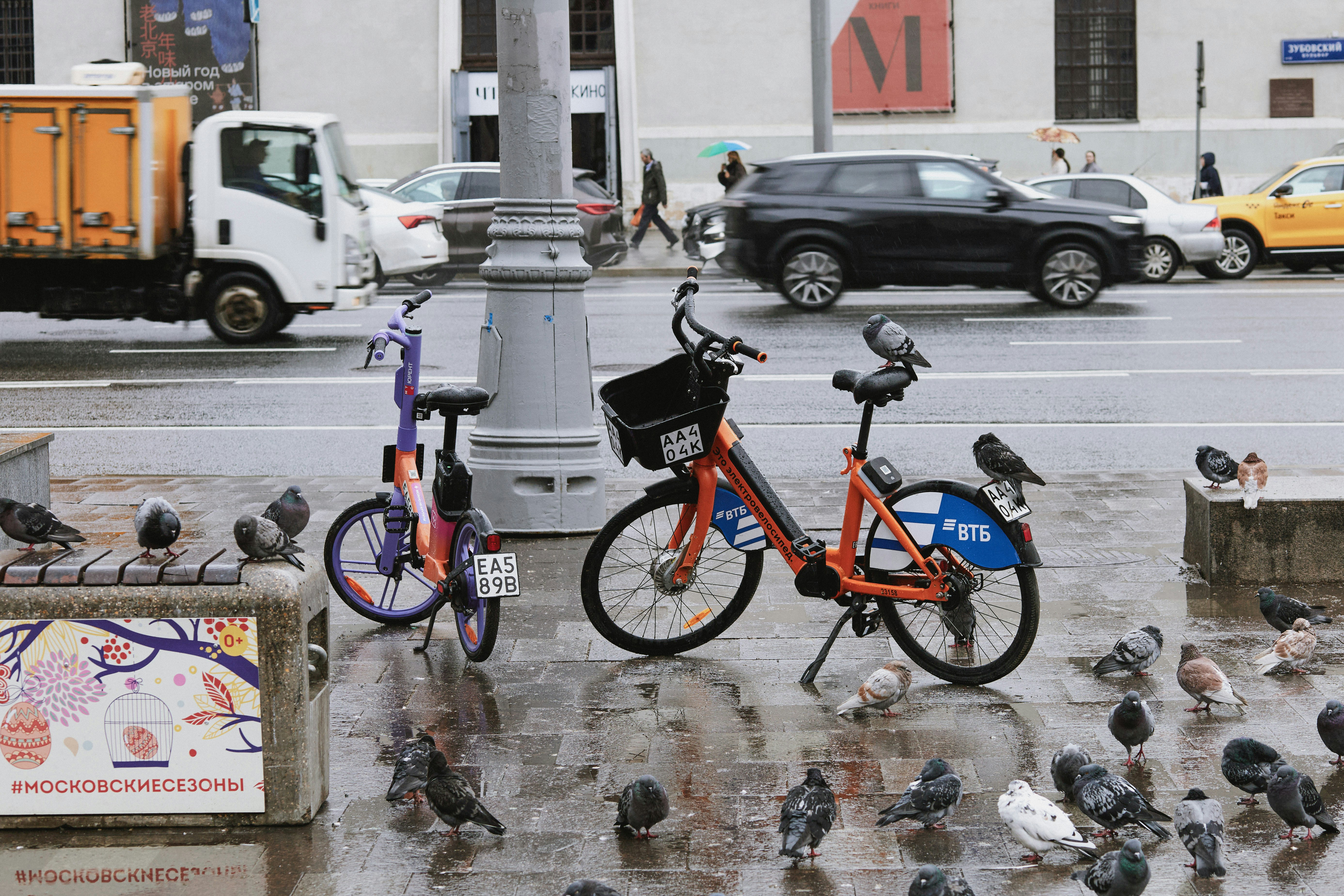 Urban Exchange: Orange Shared Bike Meets City Pigeons in a Rainy Square