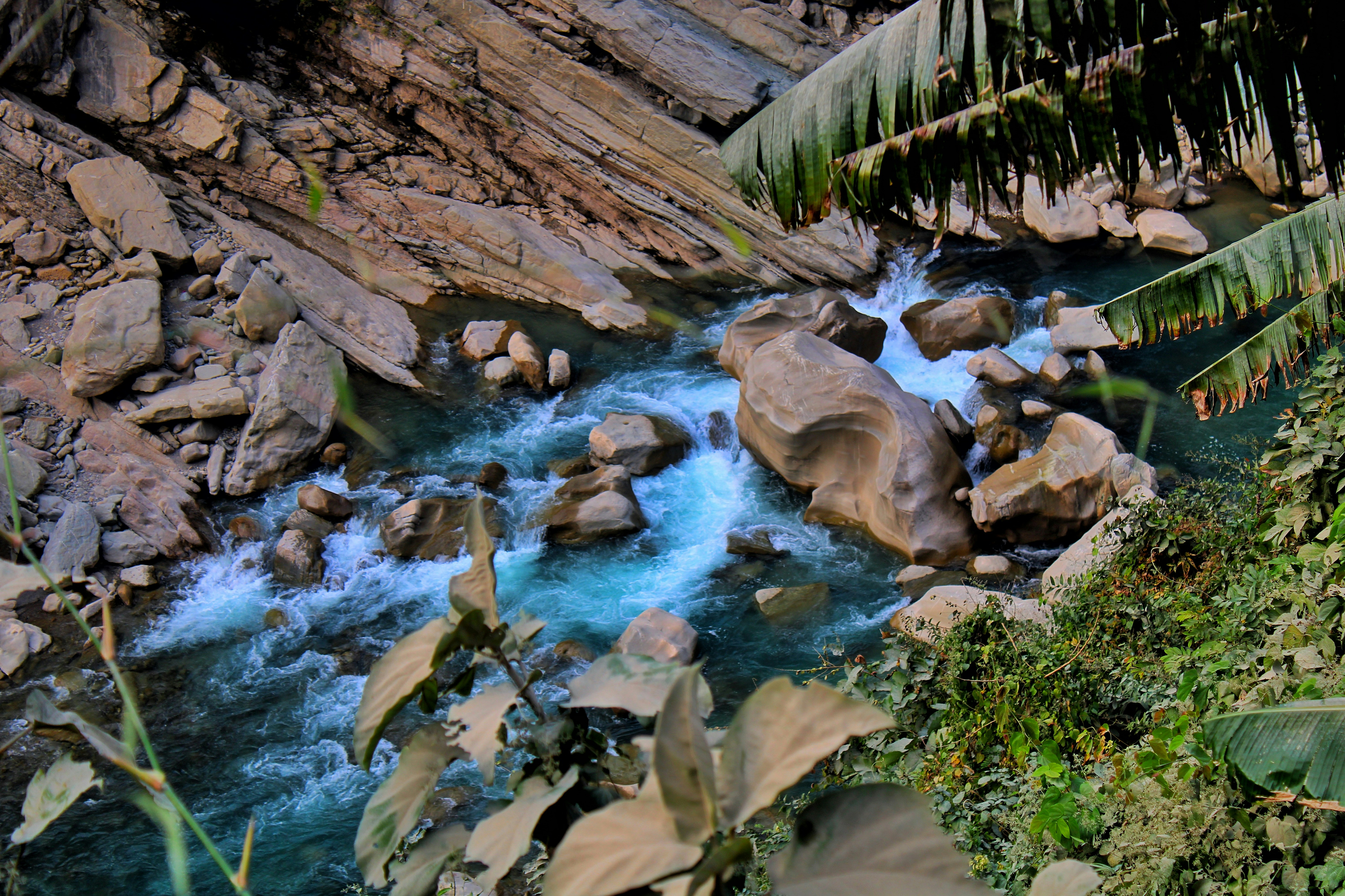 Rushing Canyon Gold: Sunlit Foliage over Turquoise Cascades