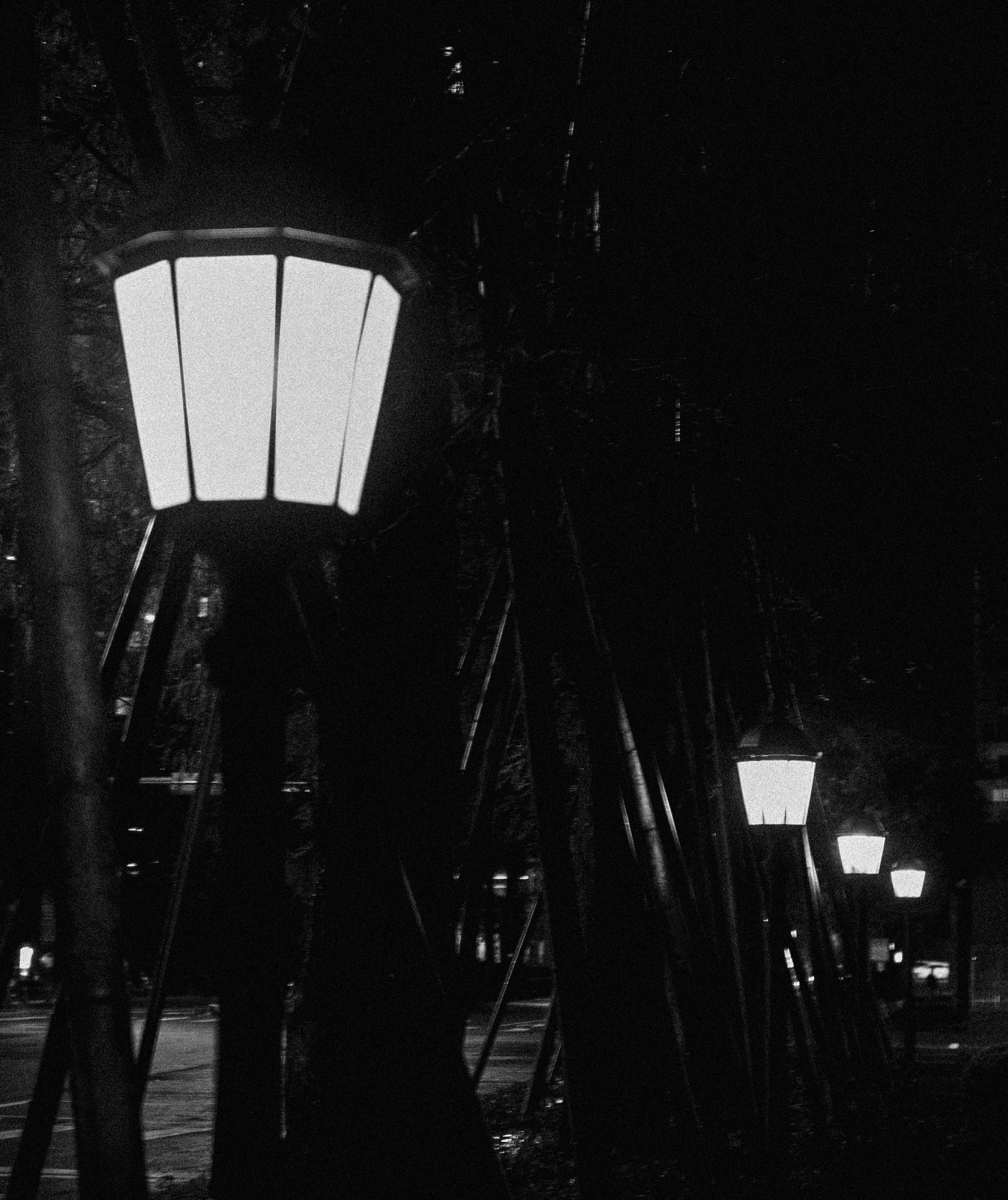 Luminous Row: Night Lamp Street in Soft Focus