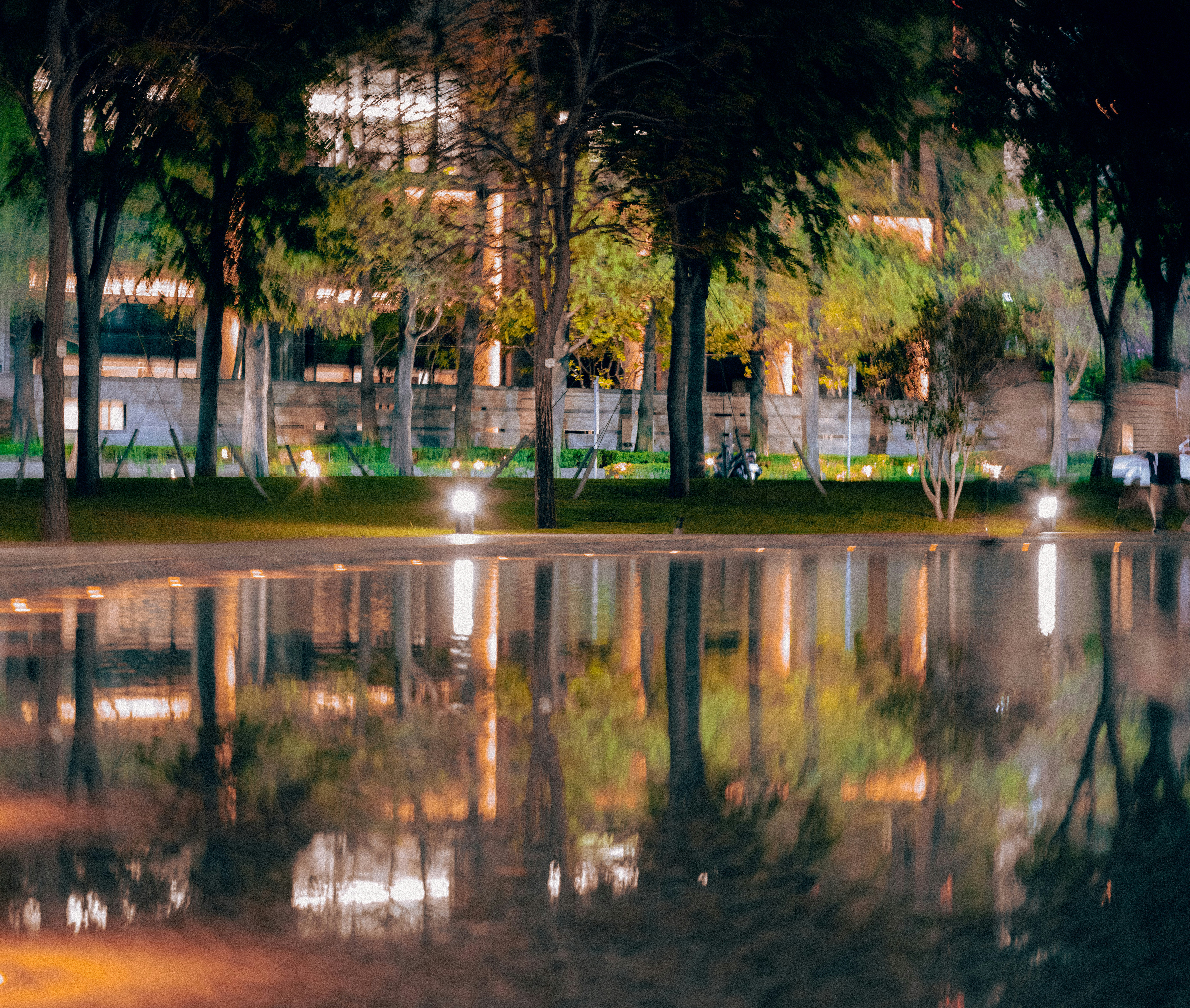 Reflections at the Park: Evening Light on Quiet Water