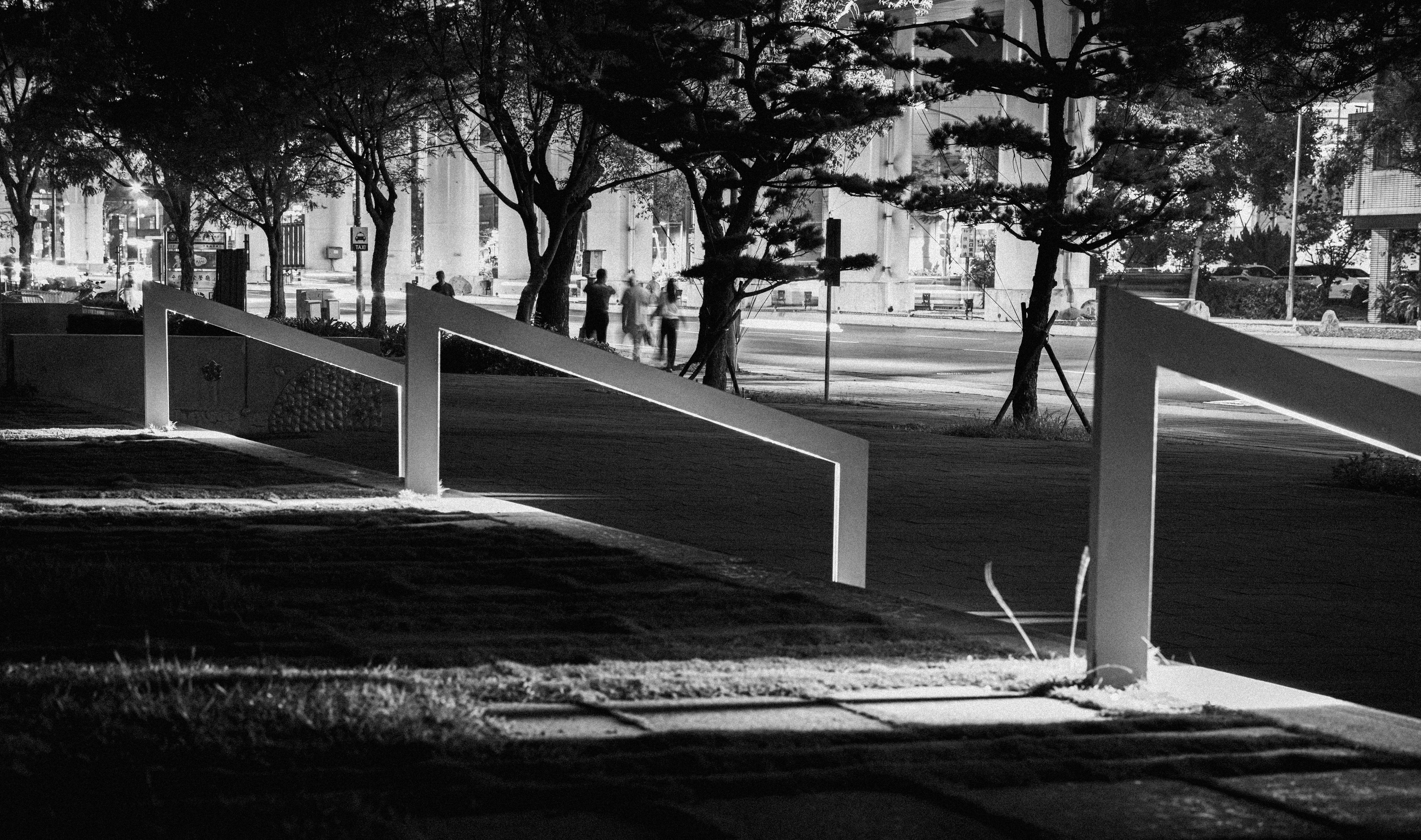 Shadowed Glass Rails: Quiet Geometry in a City Park