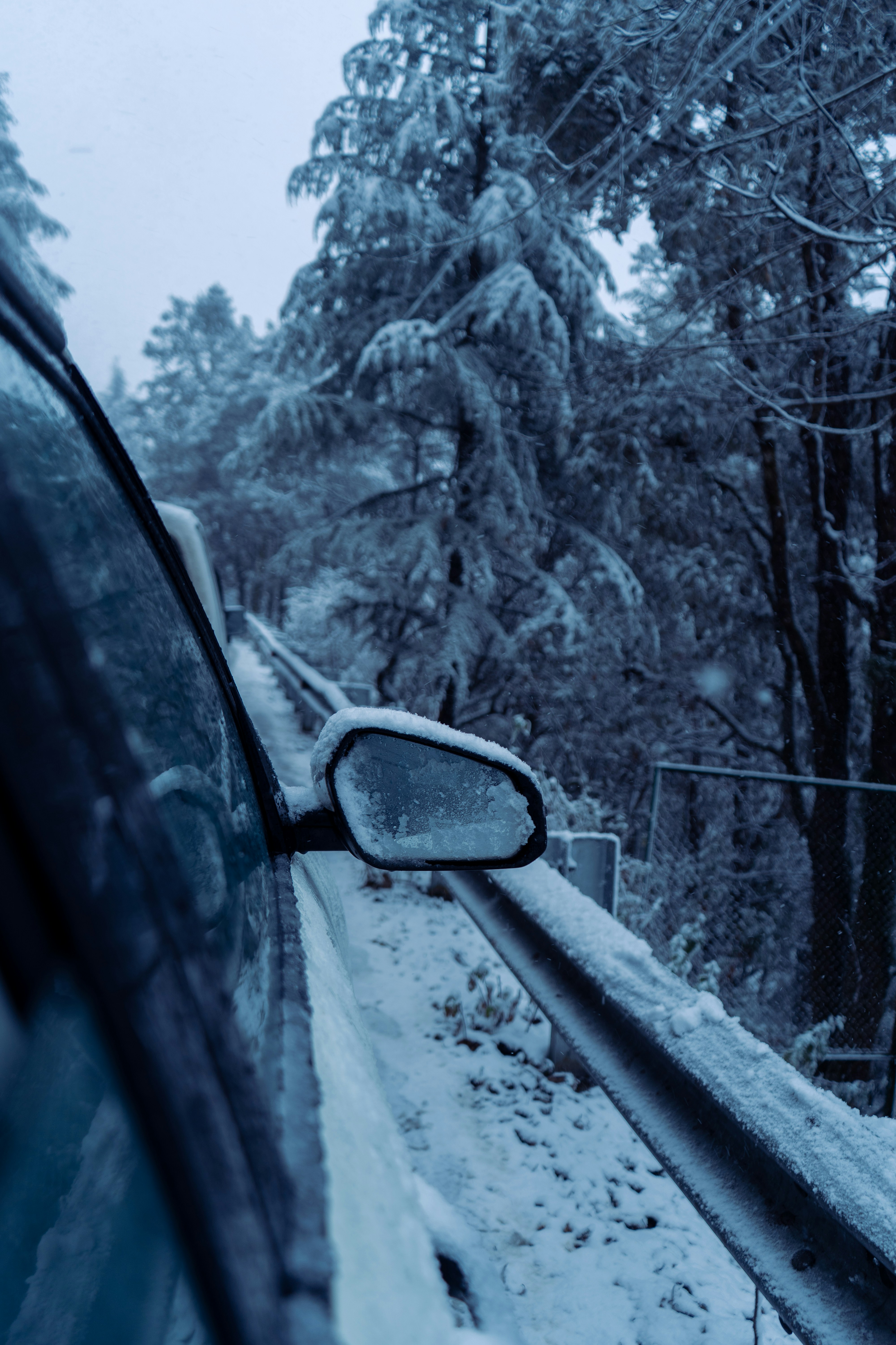 Snowbound Side Road: A Flanked Vehicle Framed by Frosted Pines
