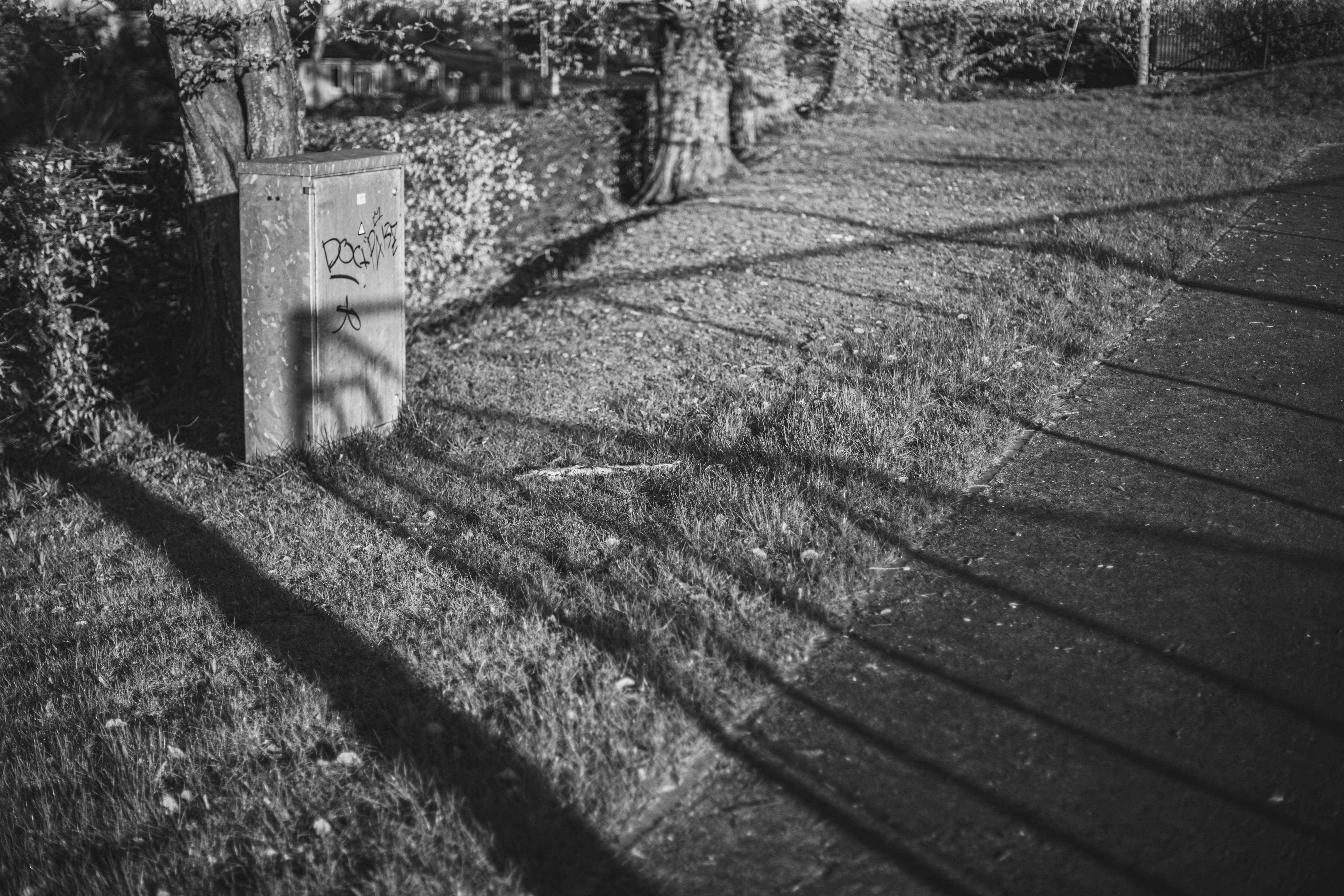 Shadowed Pathways: Evening Graffiti and Park Boundary