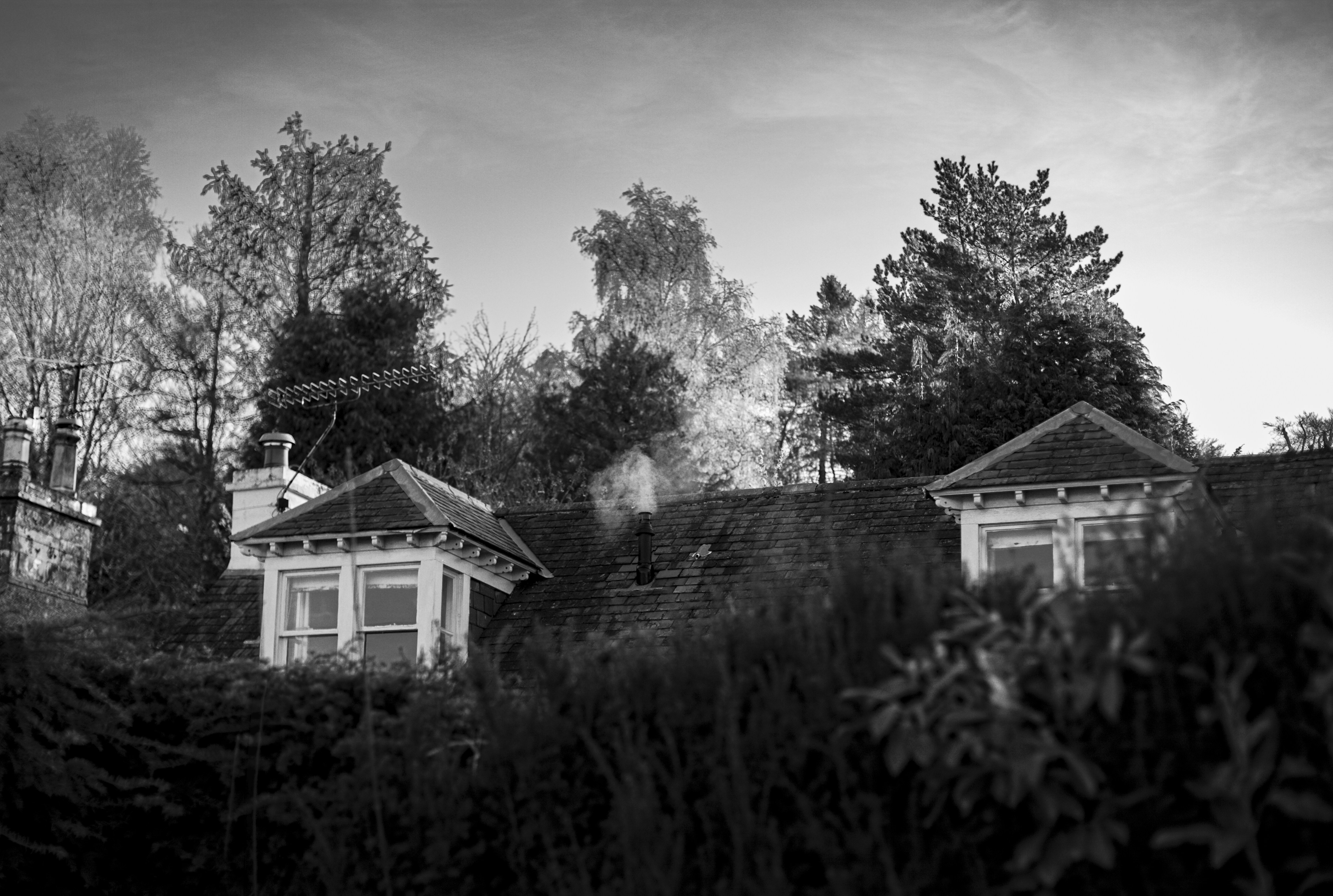 Mansion Rooftop Veil: Hidden Chimneys Beyond the Hedge