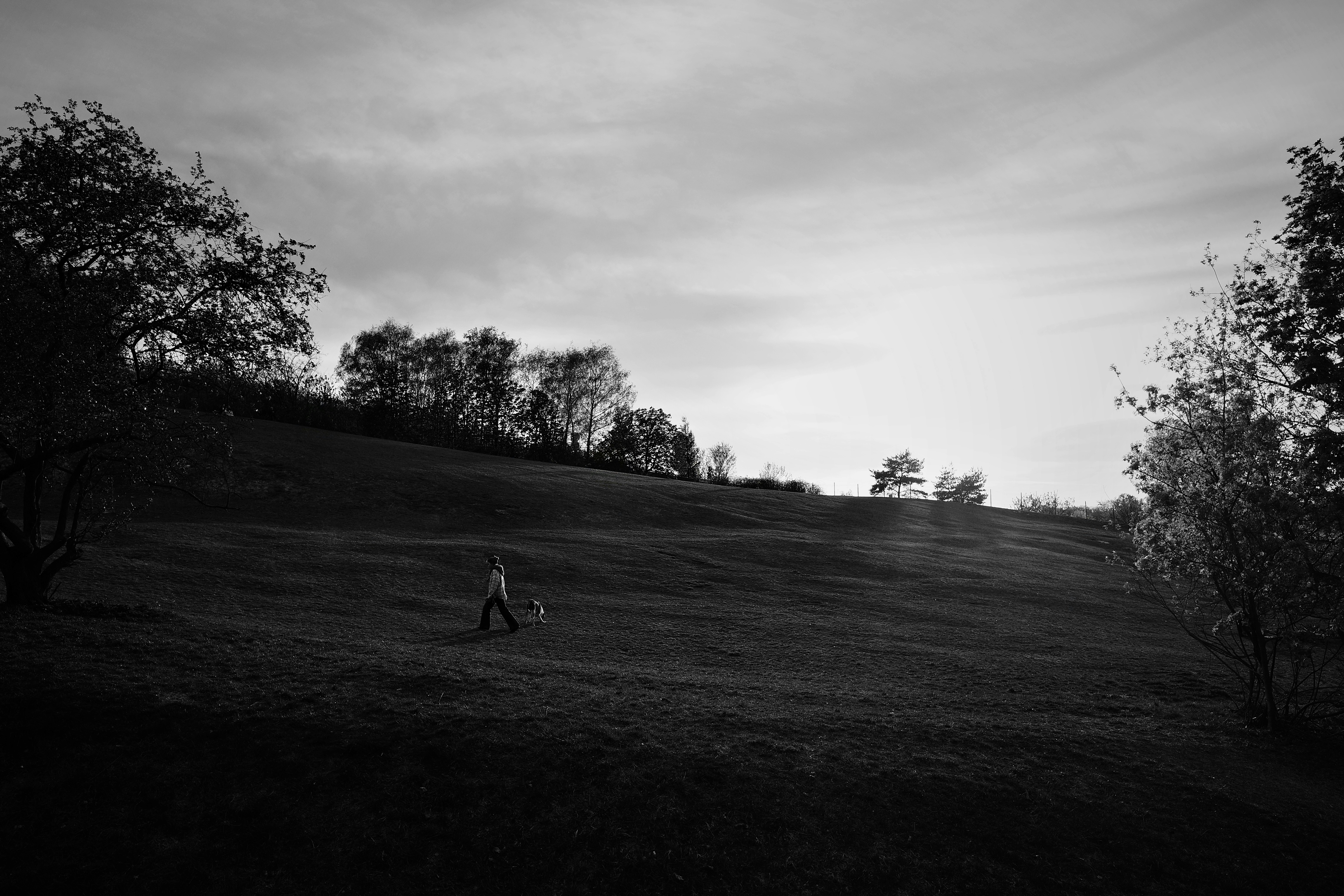 Quiet Stride Across the Hill under Distant Trees