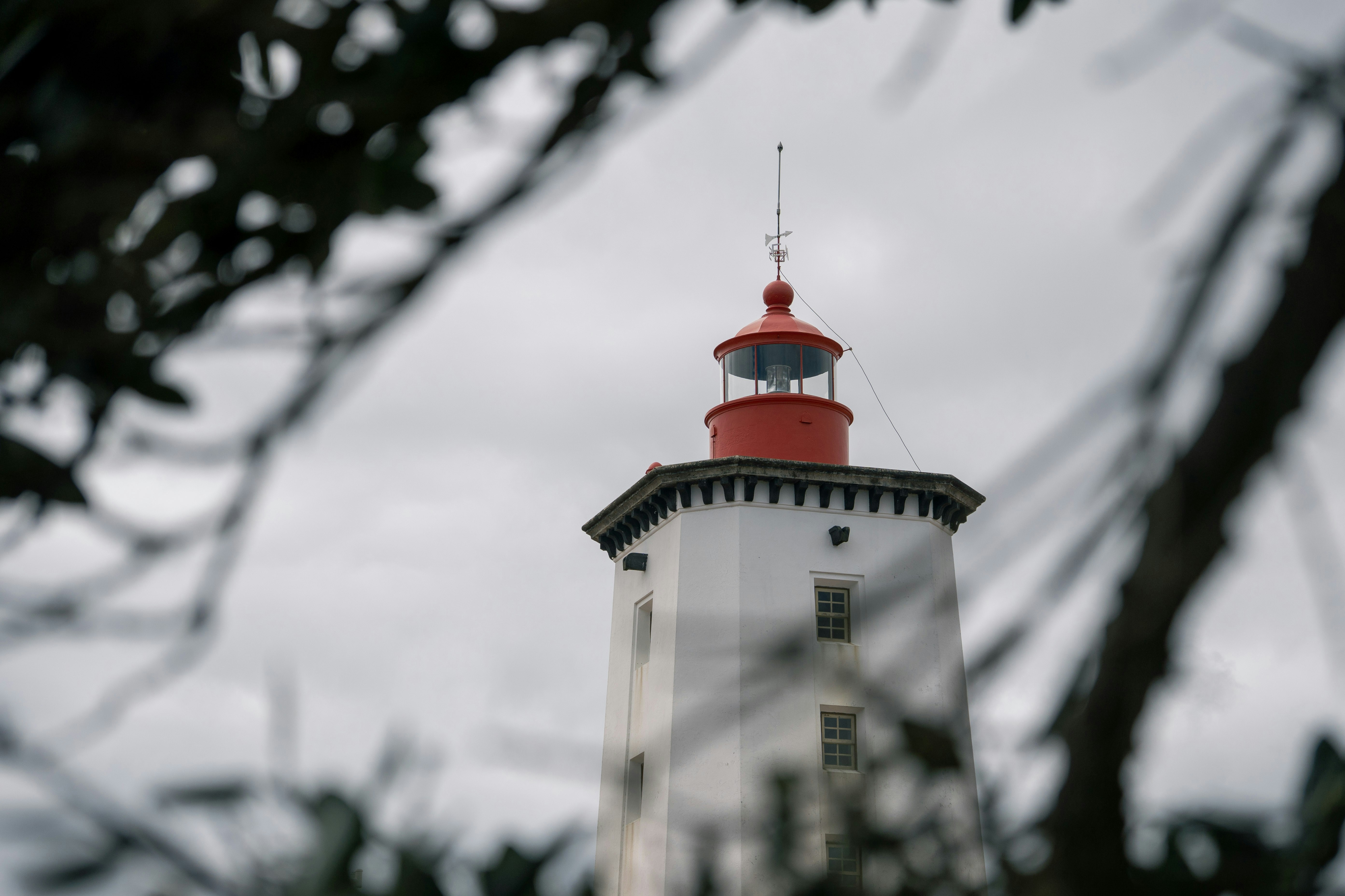 Red Lighthouse Reaching Through Framed Fern Shadows