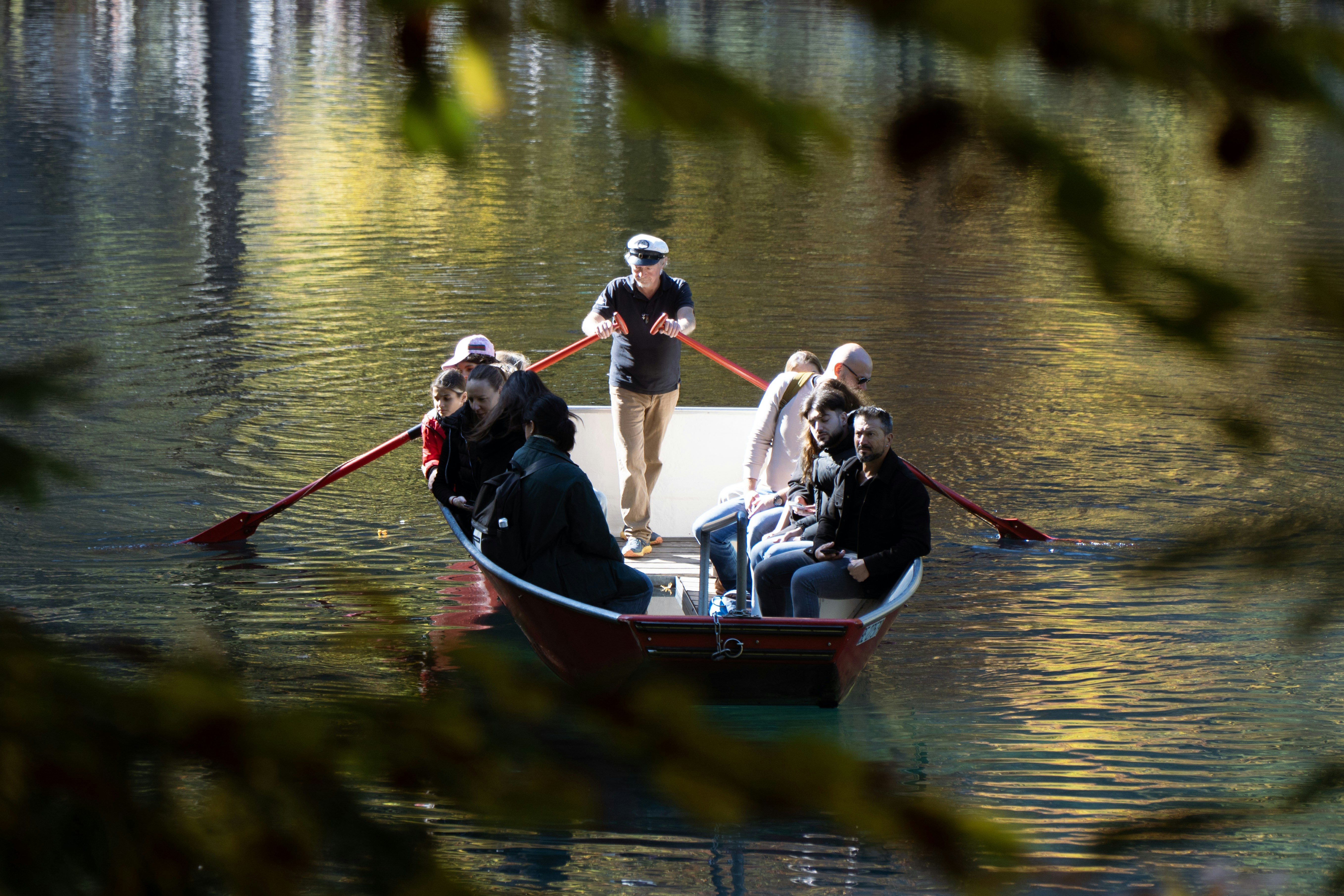 Crew in a Rowboat under Framed Foliage