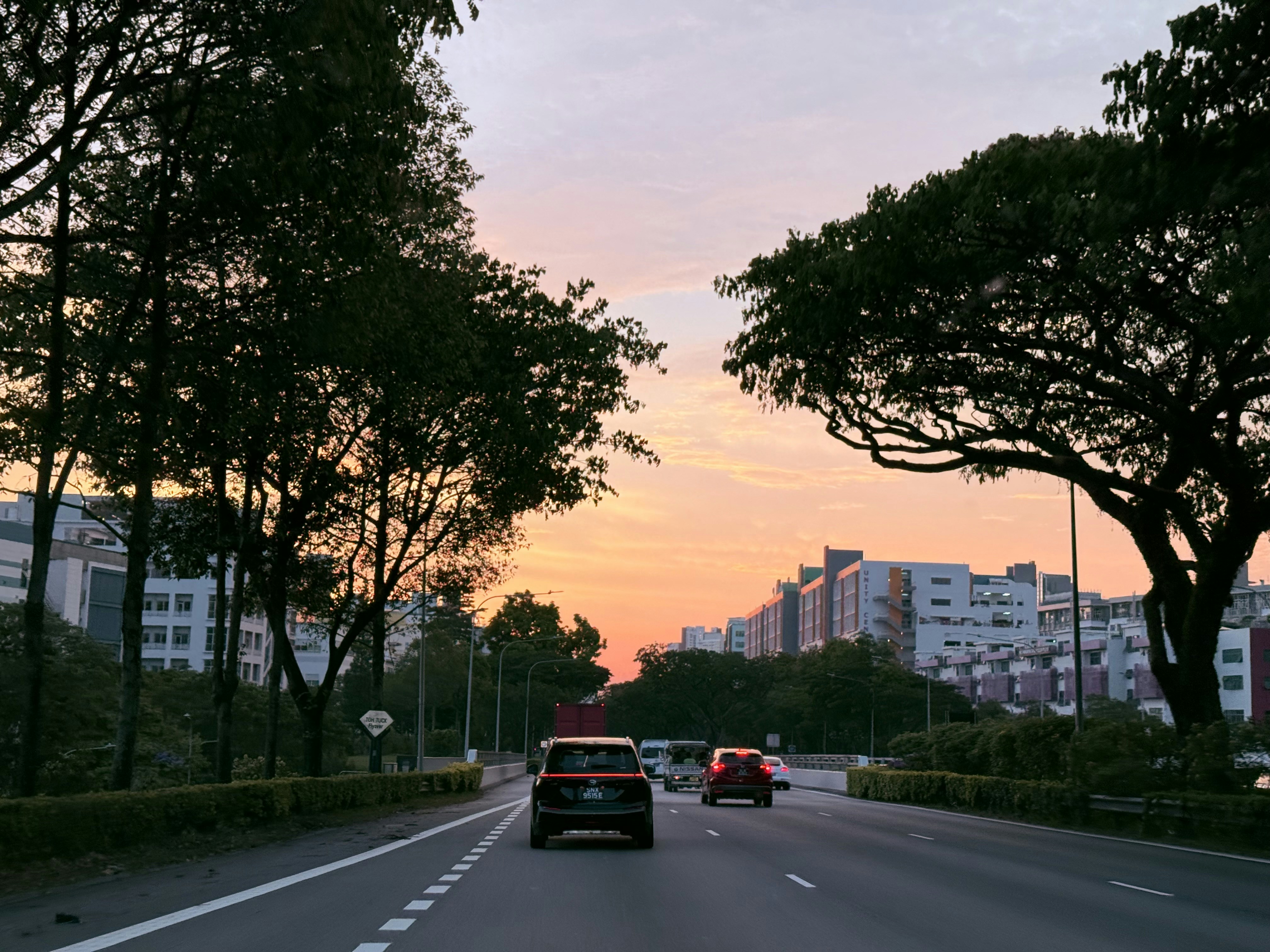 Sunset Drive on a Tree-Lined Boulevard