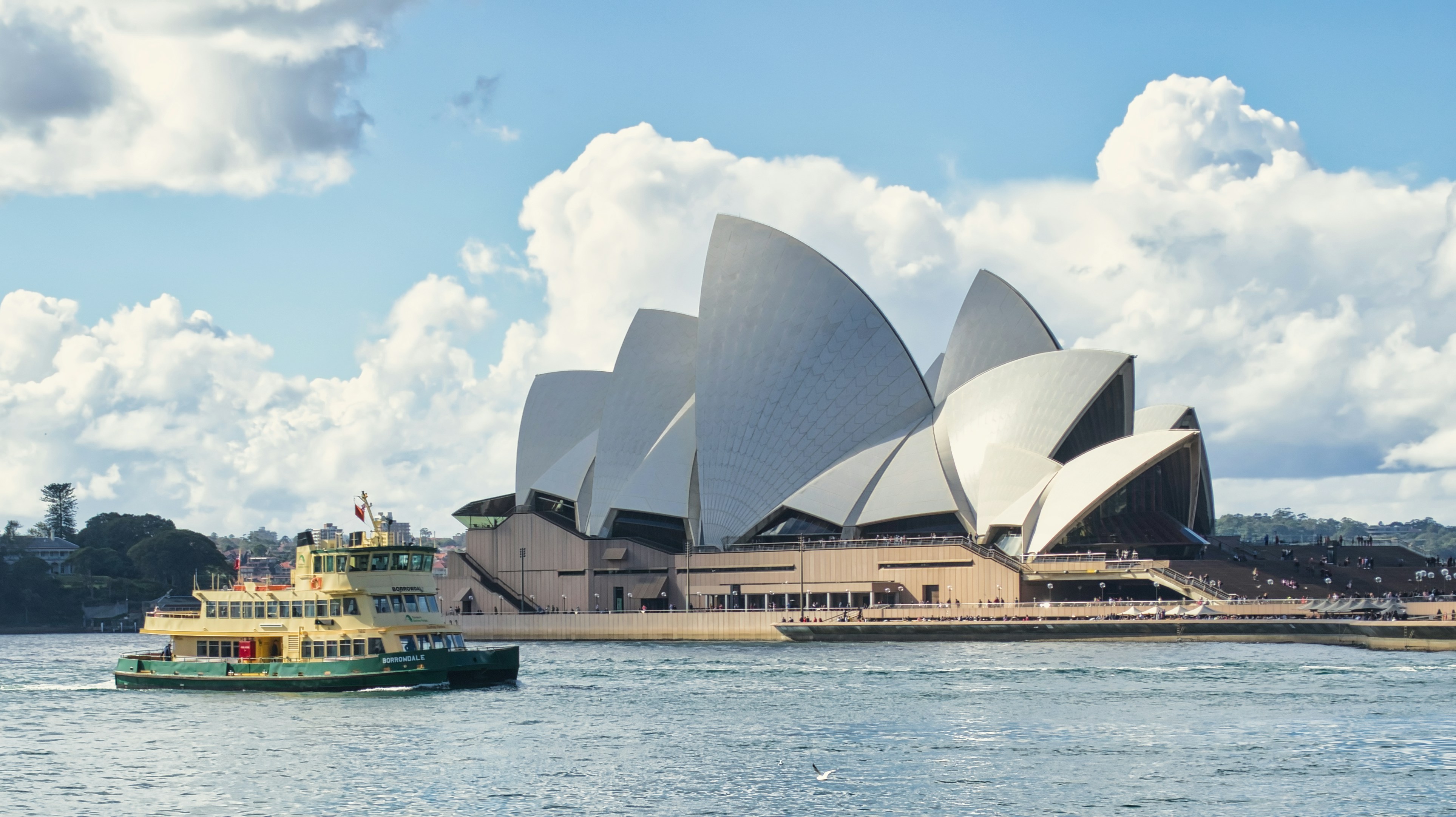 City of Sails: Iconic Opera House Framed by a Harbor Ferry