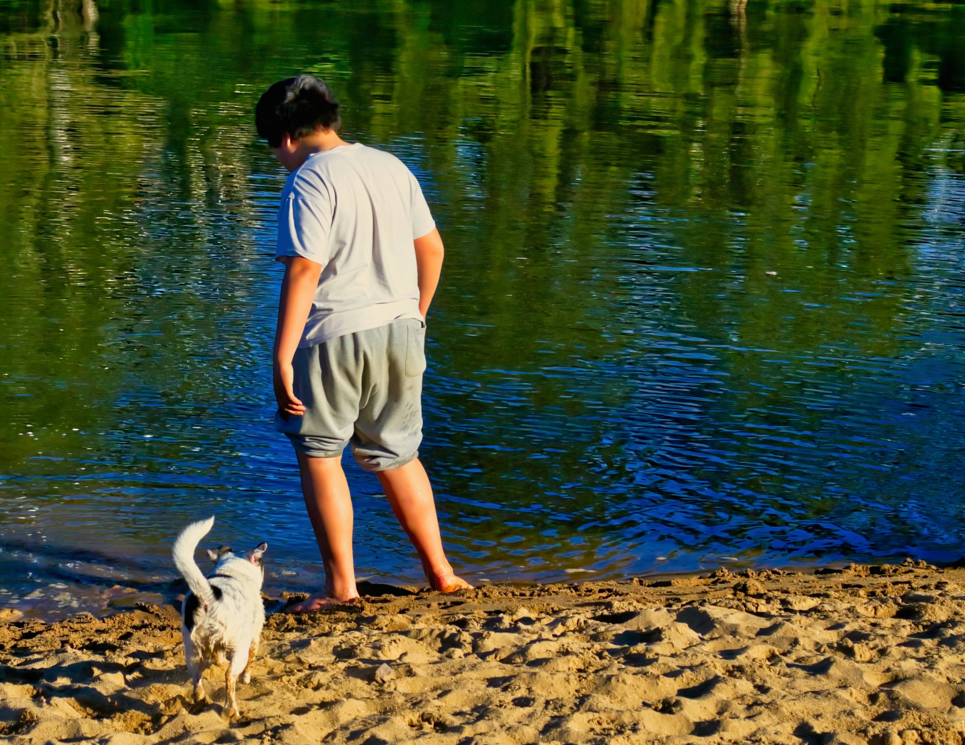 A Quiet Shore Walk: Boy and Cat on the Sand by the Lake