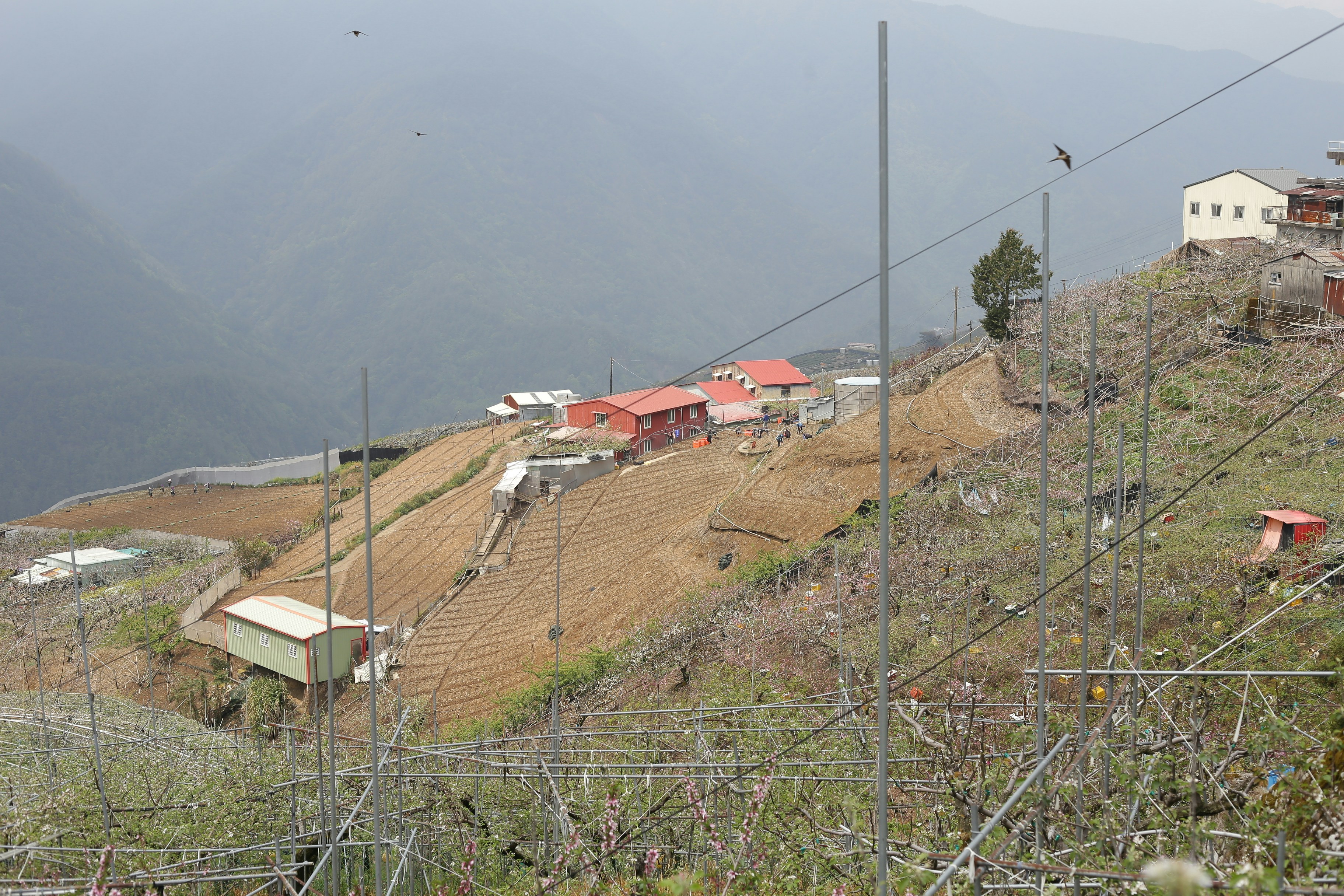 Terraced hillside hamlet under gray skies