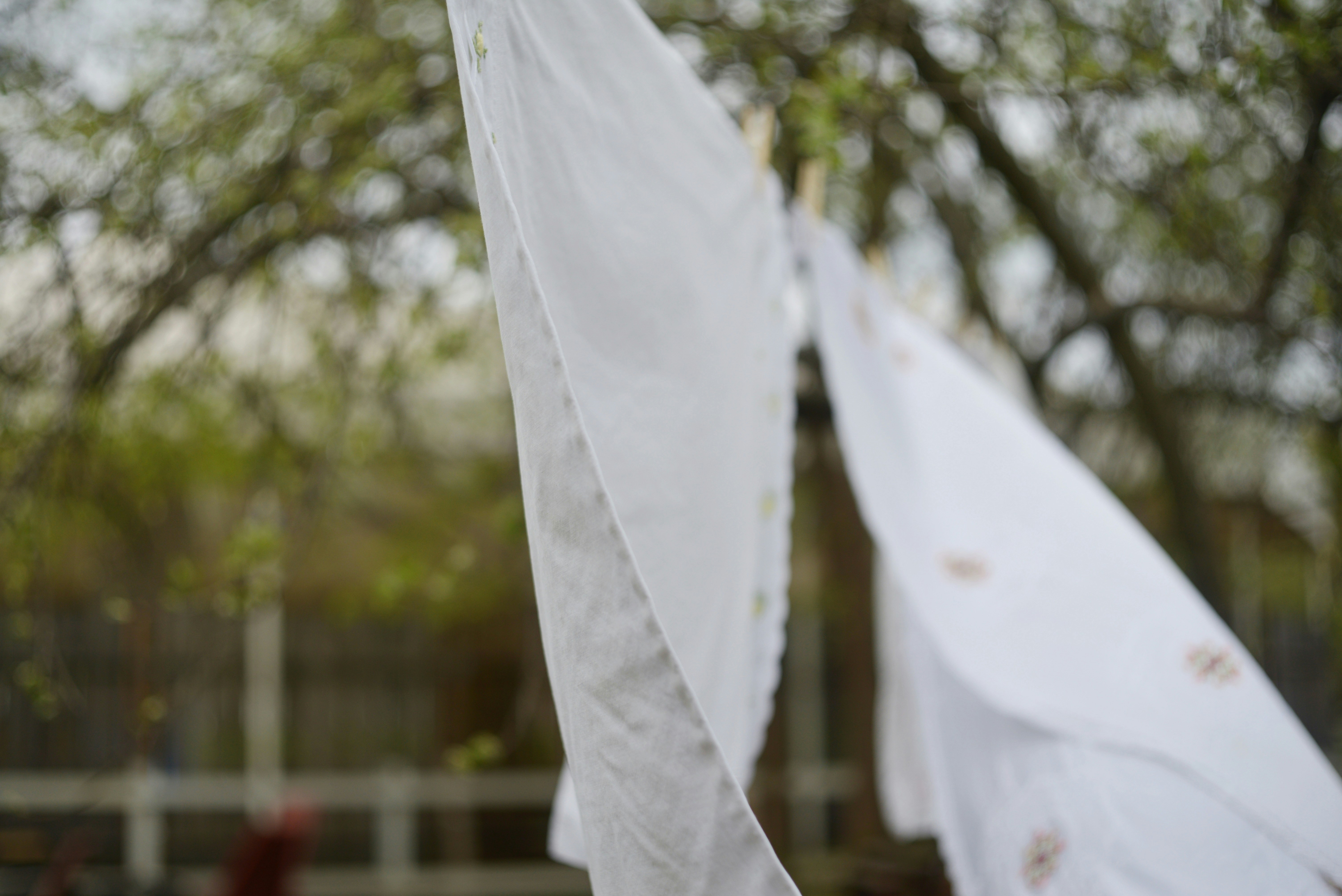 White Linen on the Line: Quiet Laundry Day Among Trees