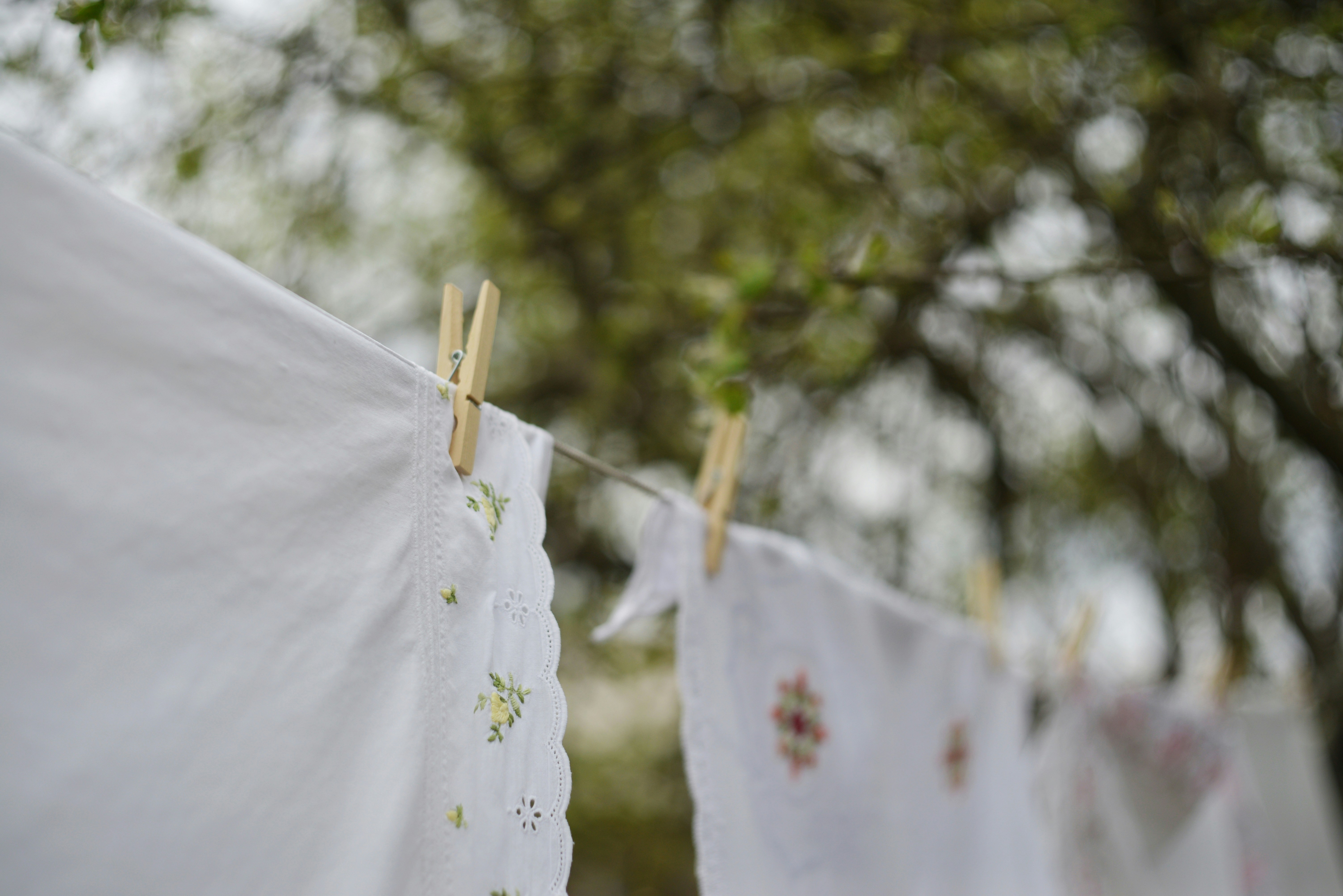 Whispers on a Line: Delicate Laundry in Quiet Morning Light