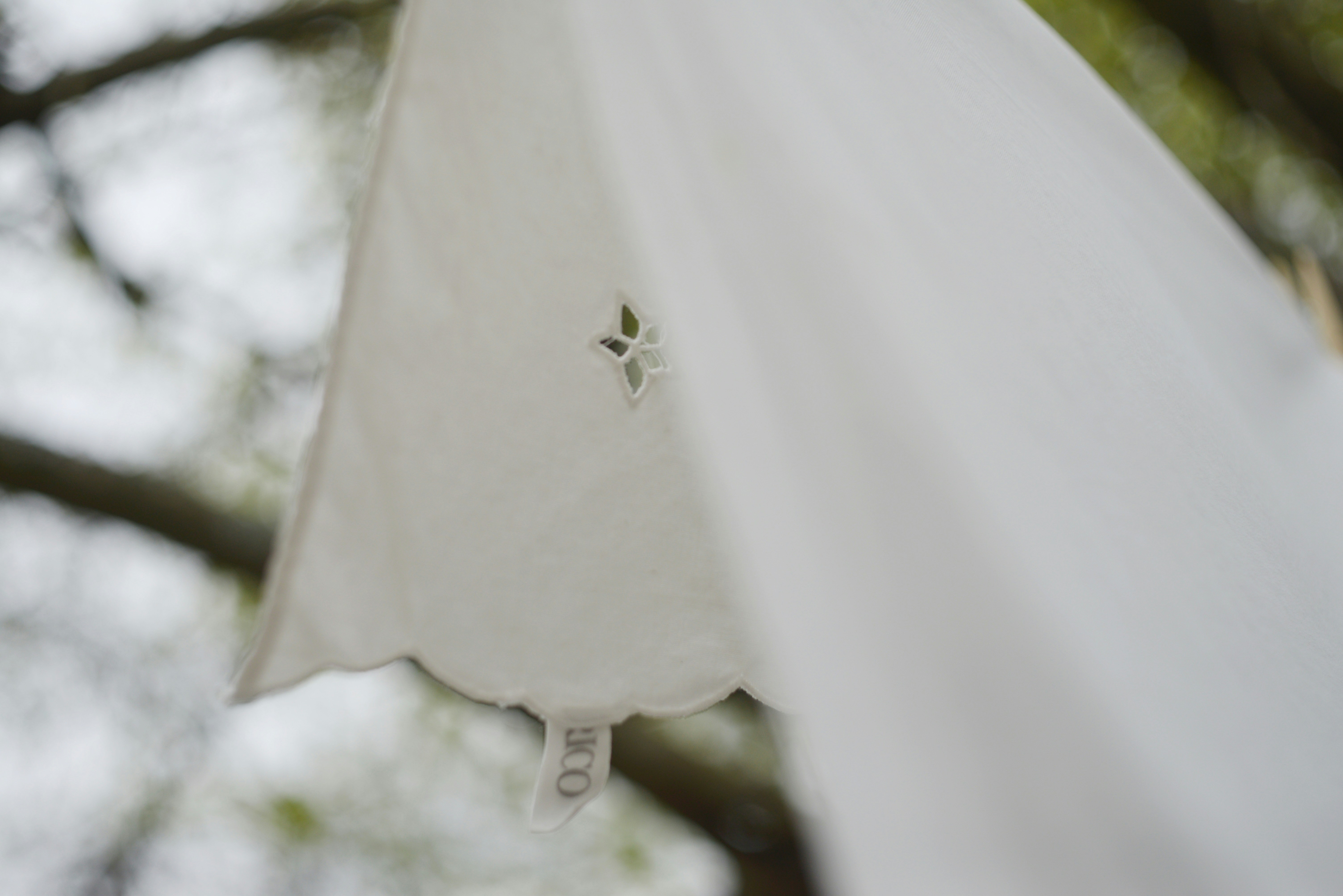 White Cloth Drapes a Delicate Moment in Soft Backlight