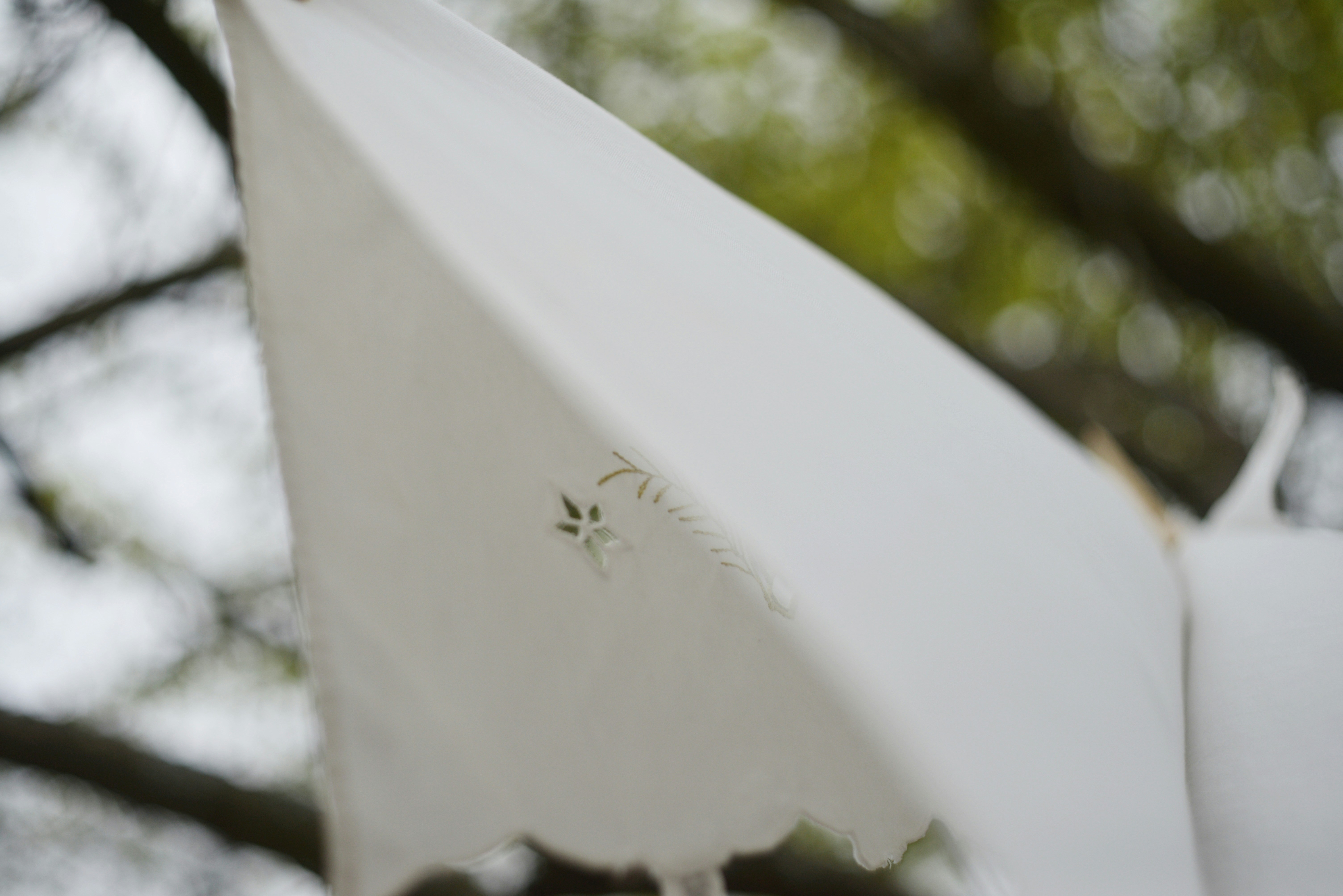 White Fabric in Sunlit Canopy
