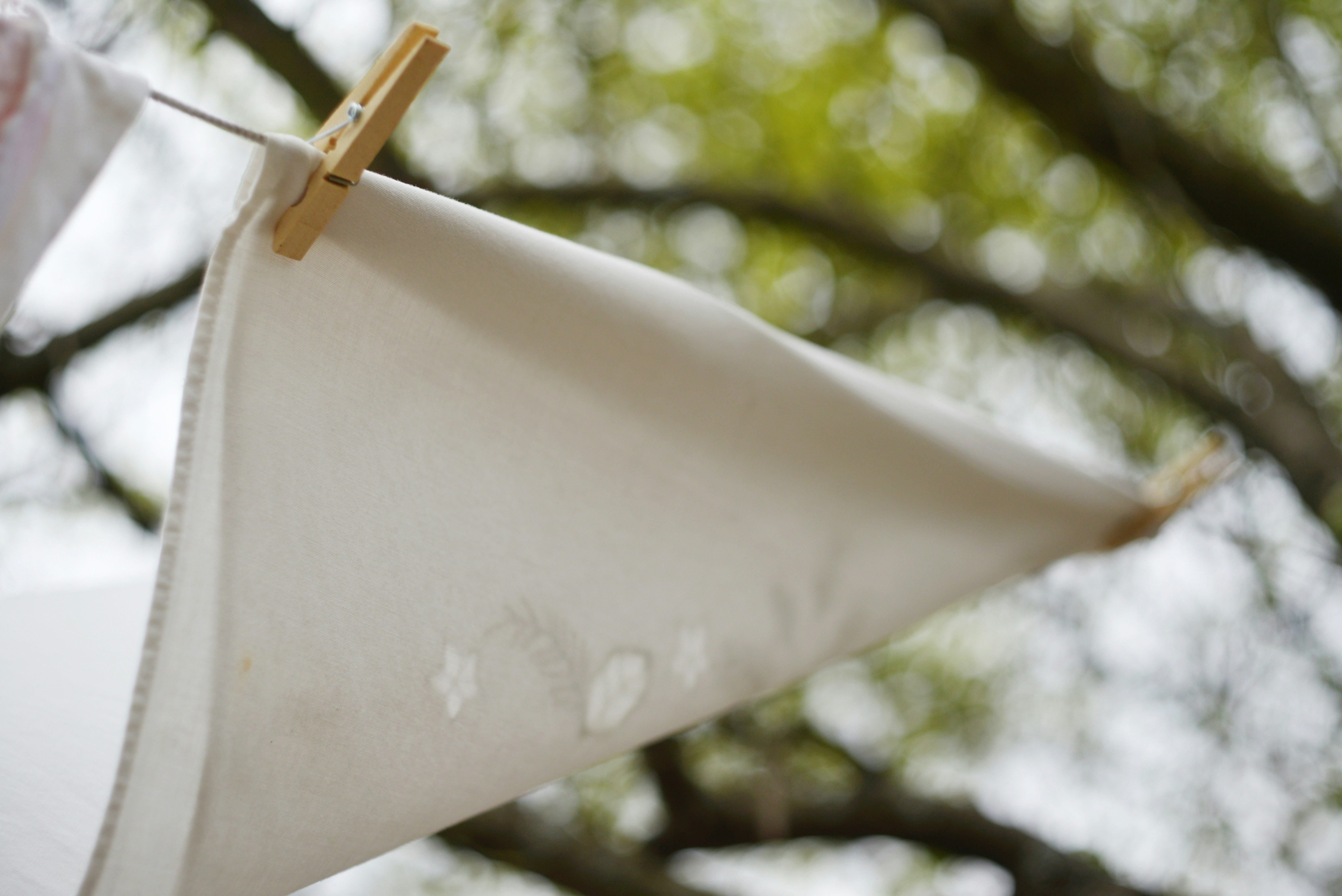 Clothline Quiet: A Linen Flag Against a Sunlit Canopy