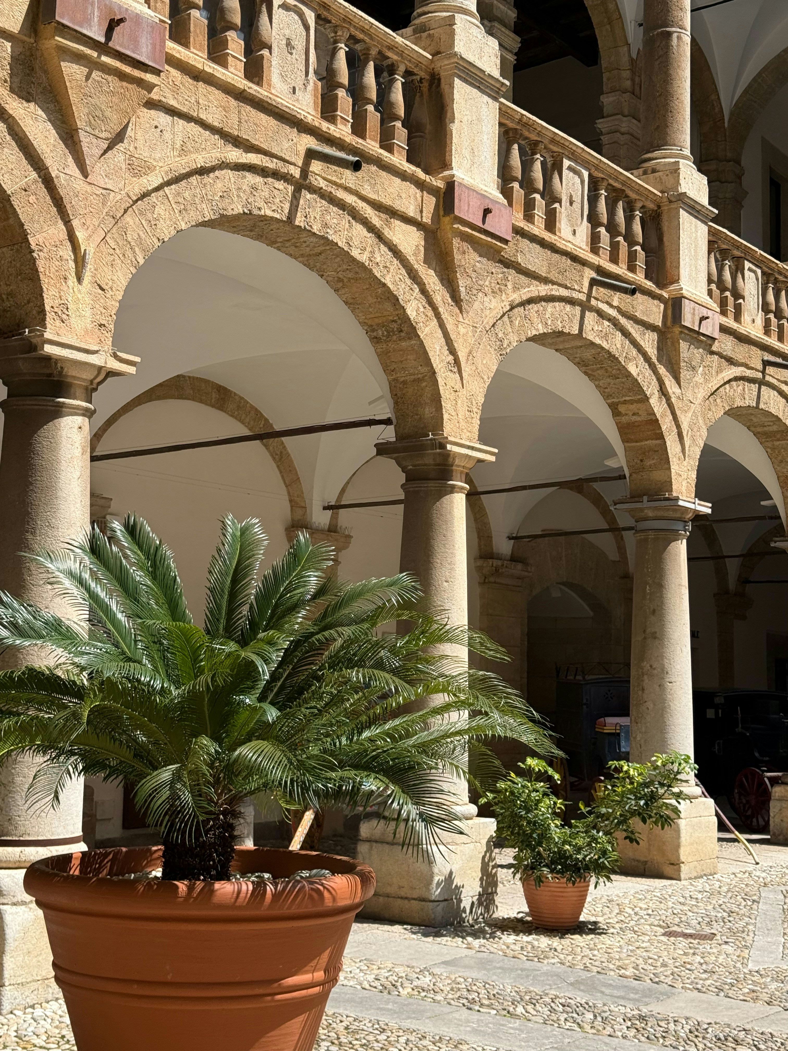 Sunlit Courtyard Arcade with Potted Palm