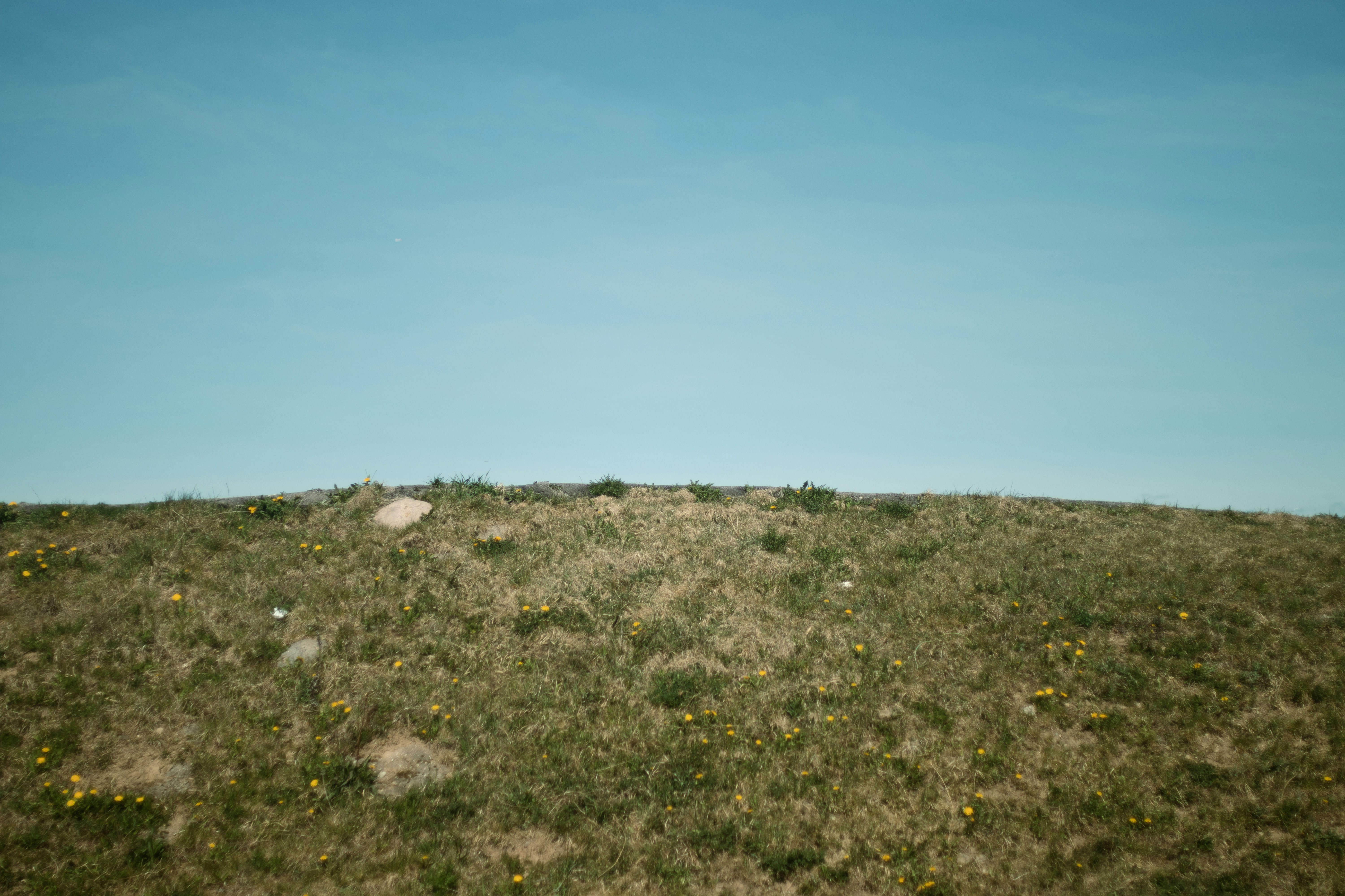 Low Hill, Wide Sky: A Quiet Grassland Under an Open Blue