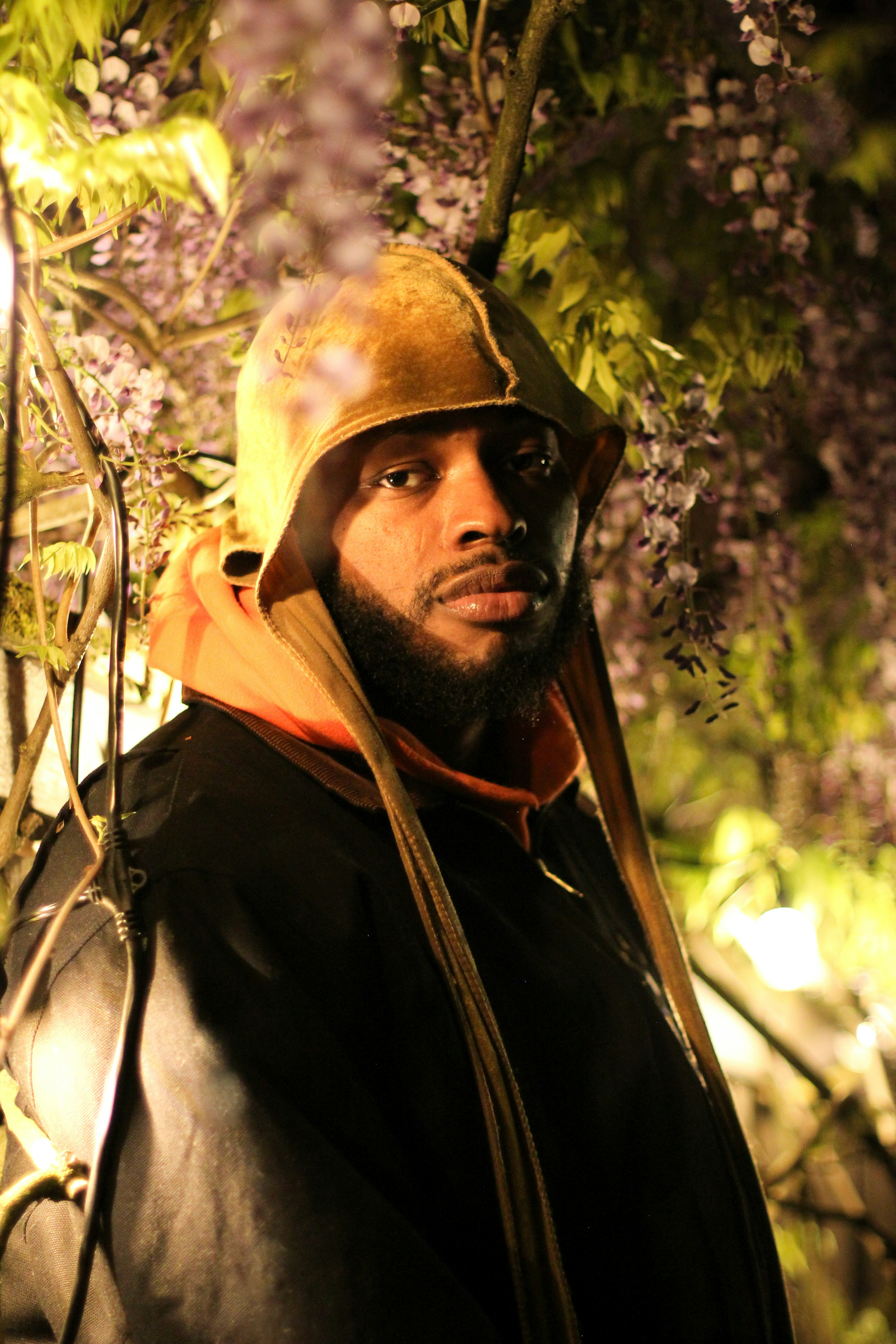 Midnight Lantern: A Portrait Under Ornamental Bloom