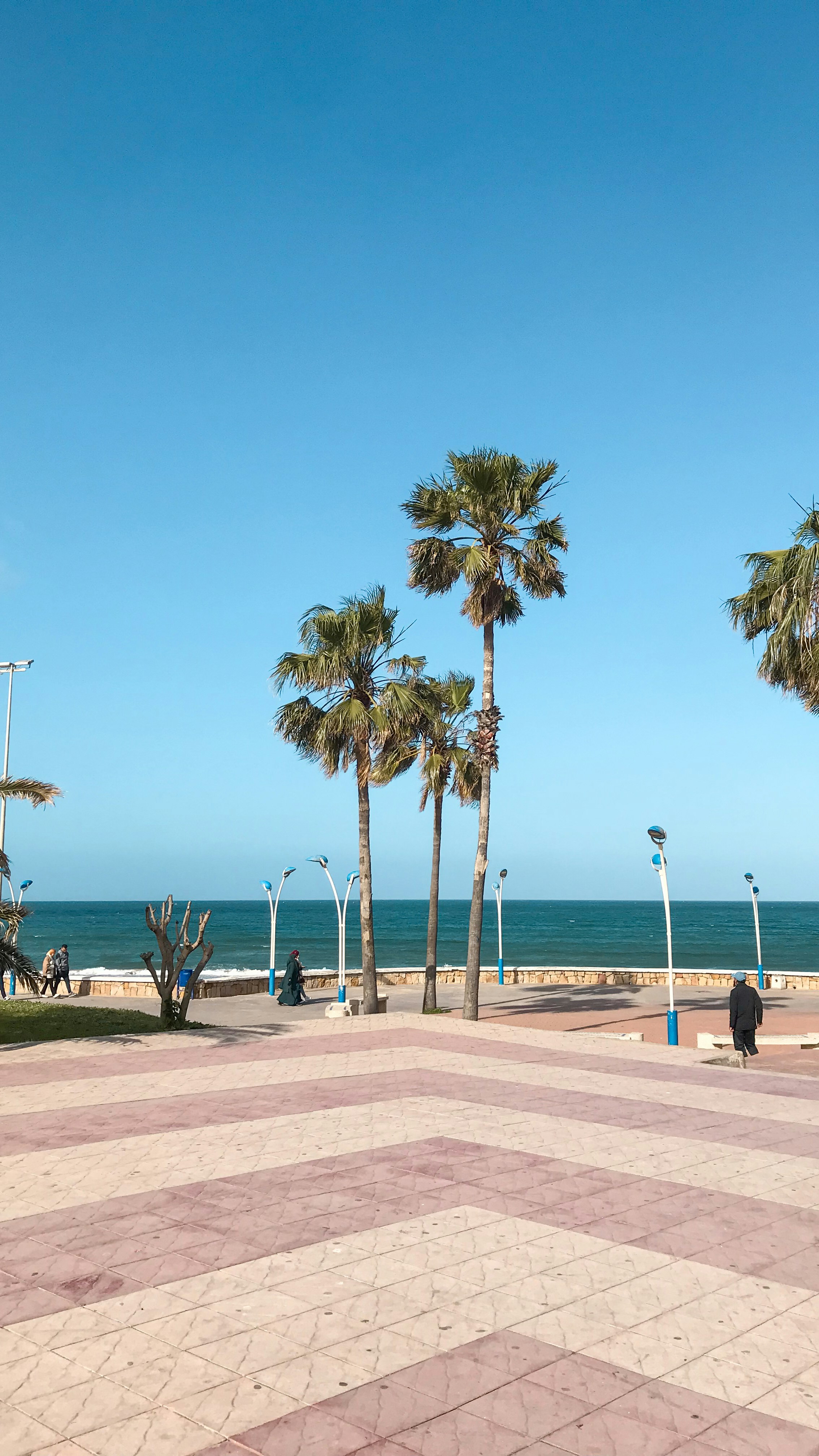 Azure Promenade: Palm Silhouettes by the Sea