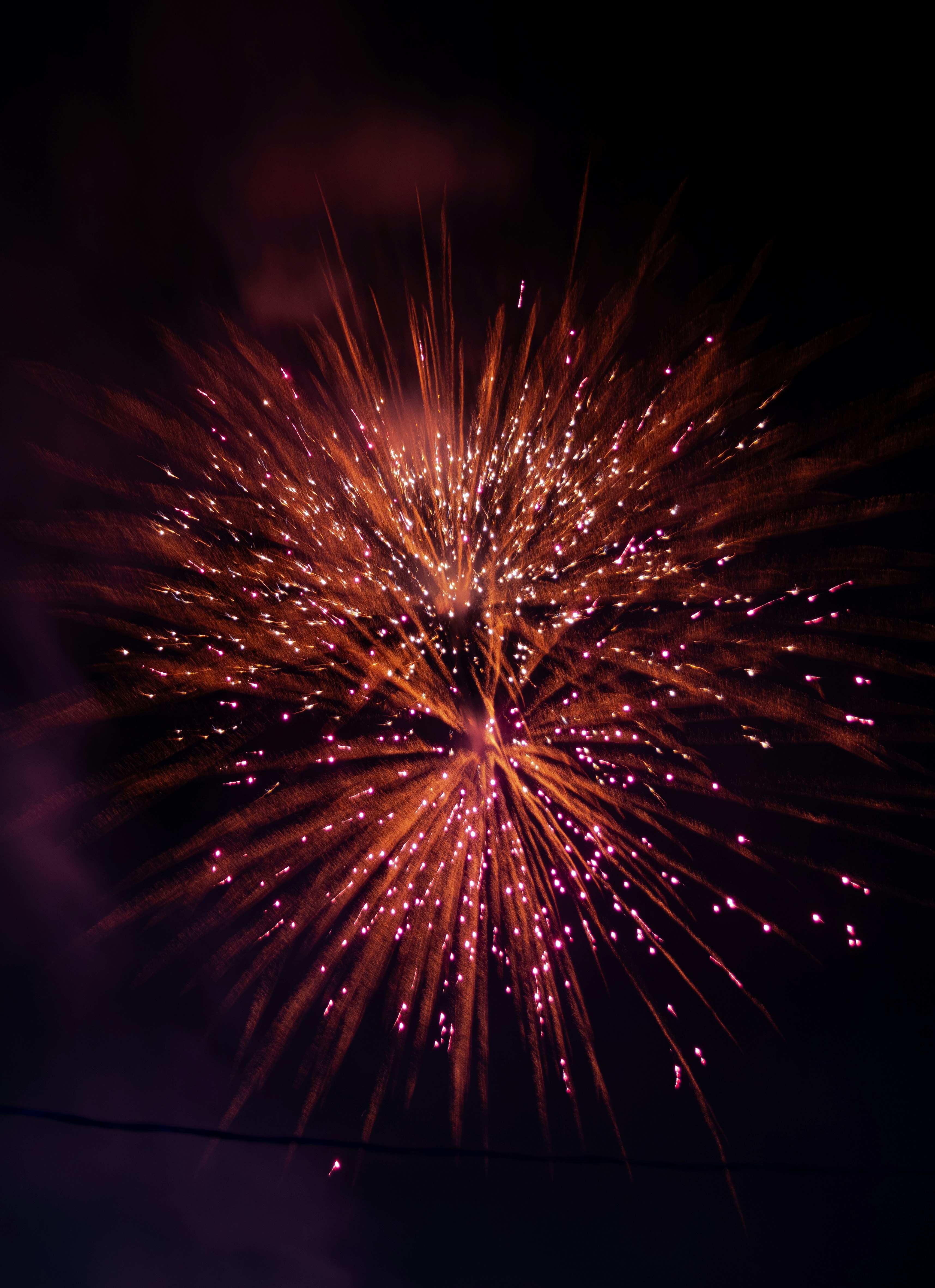 Burst of Warm Lights: A Firework Bloom in Darkness