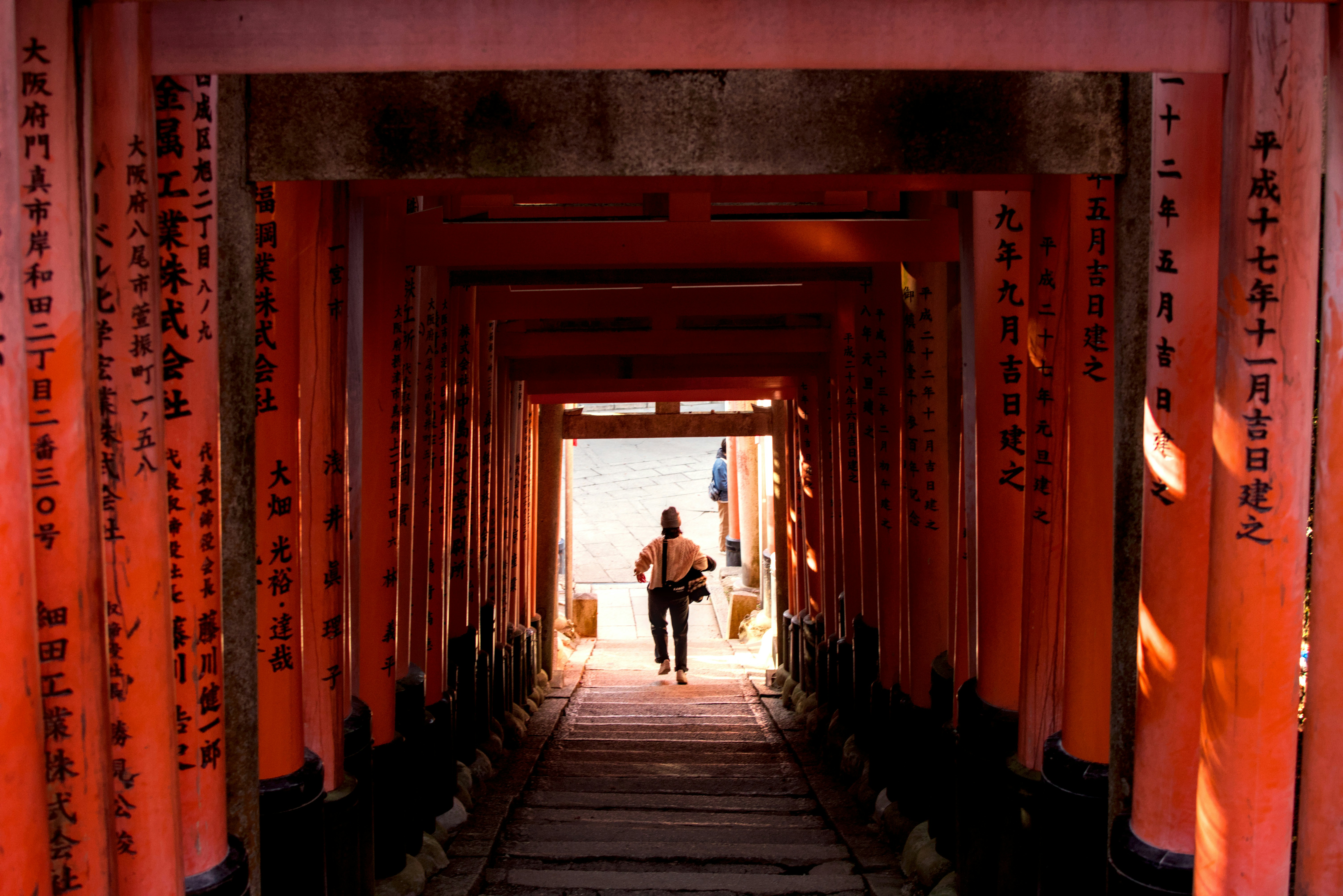 Red Corridor of Gates: A Traveler’s Quiet Exit