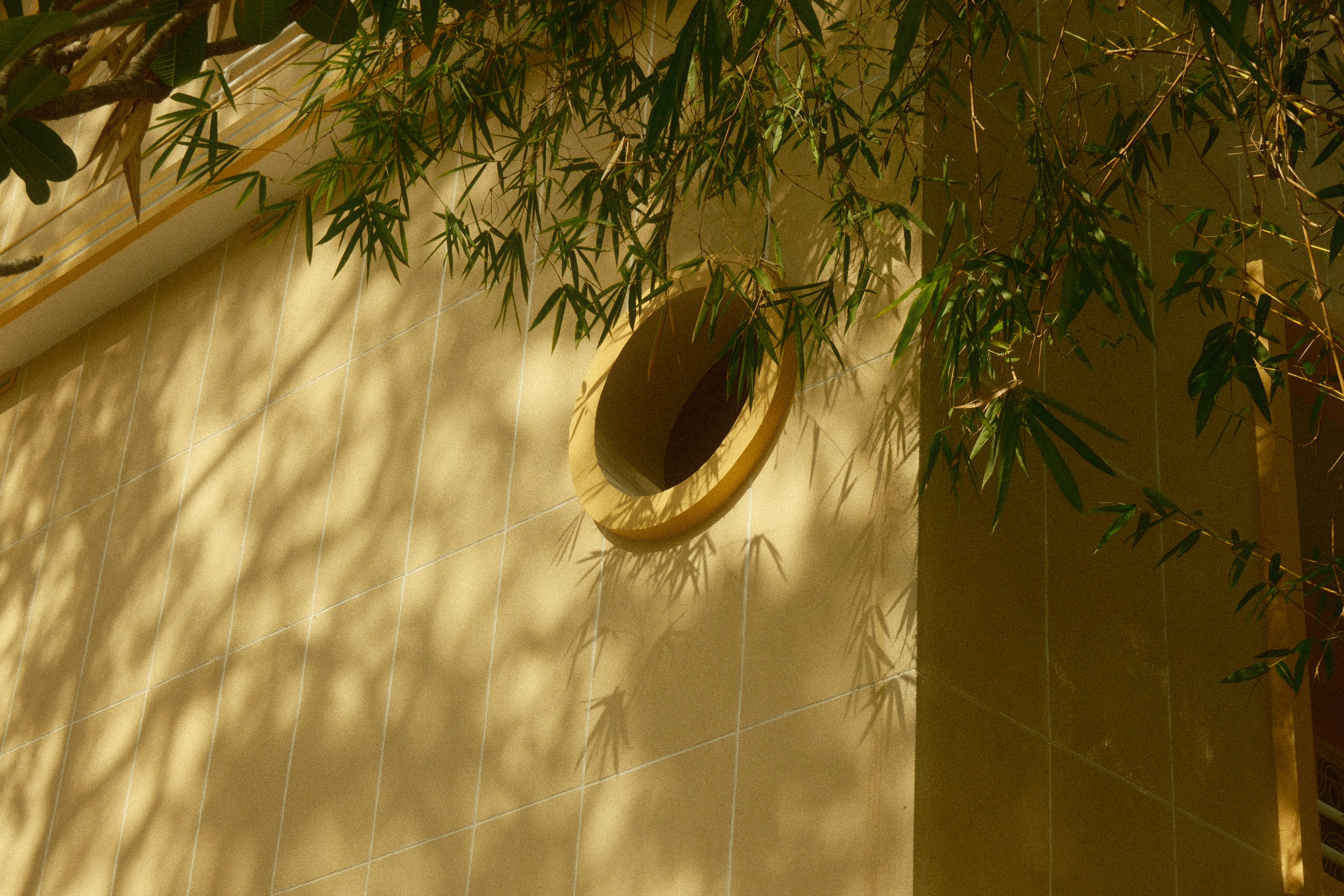 Circle of Light: Architecture and Dappled Shadows